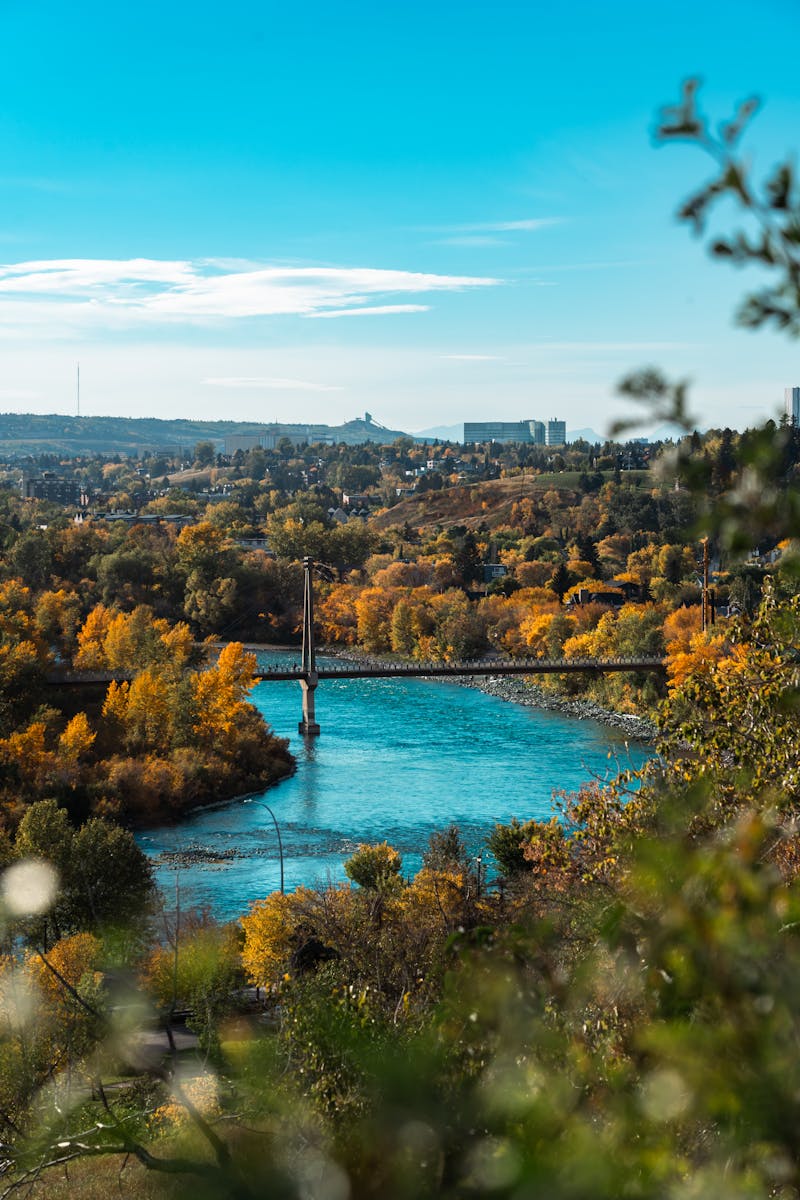 Calgary Peace Bridge Over The Bow River Photos, Download The BEST Free ...