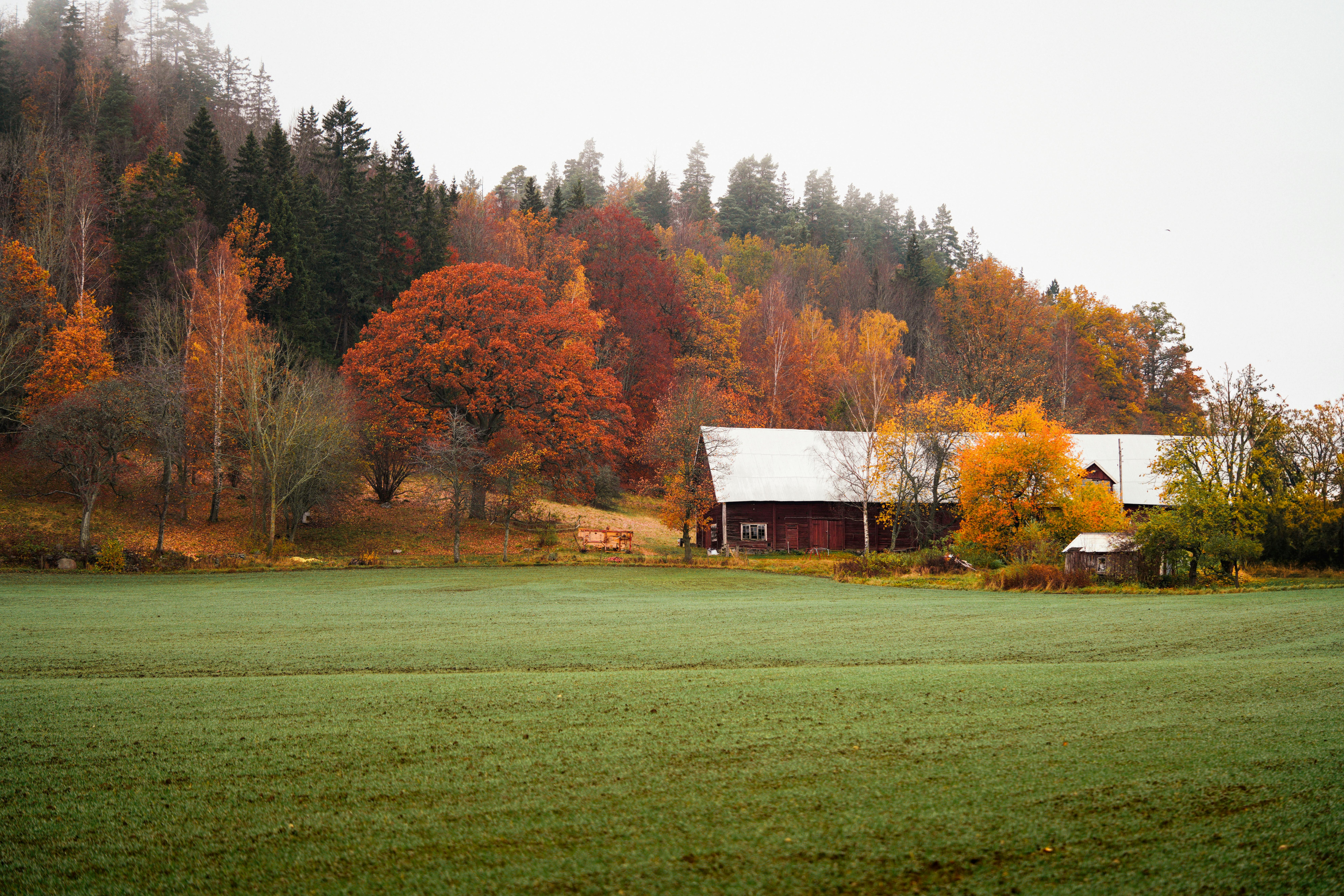 Scenic Autumn Farm Landscape with Vibrant Trees · Free Stock Photo