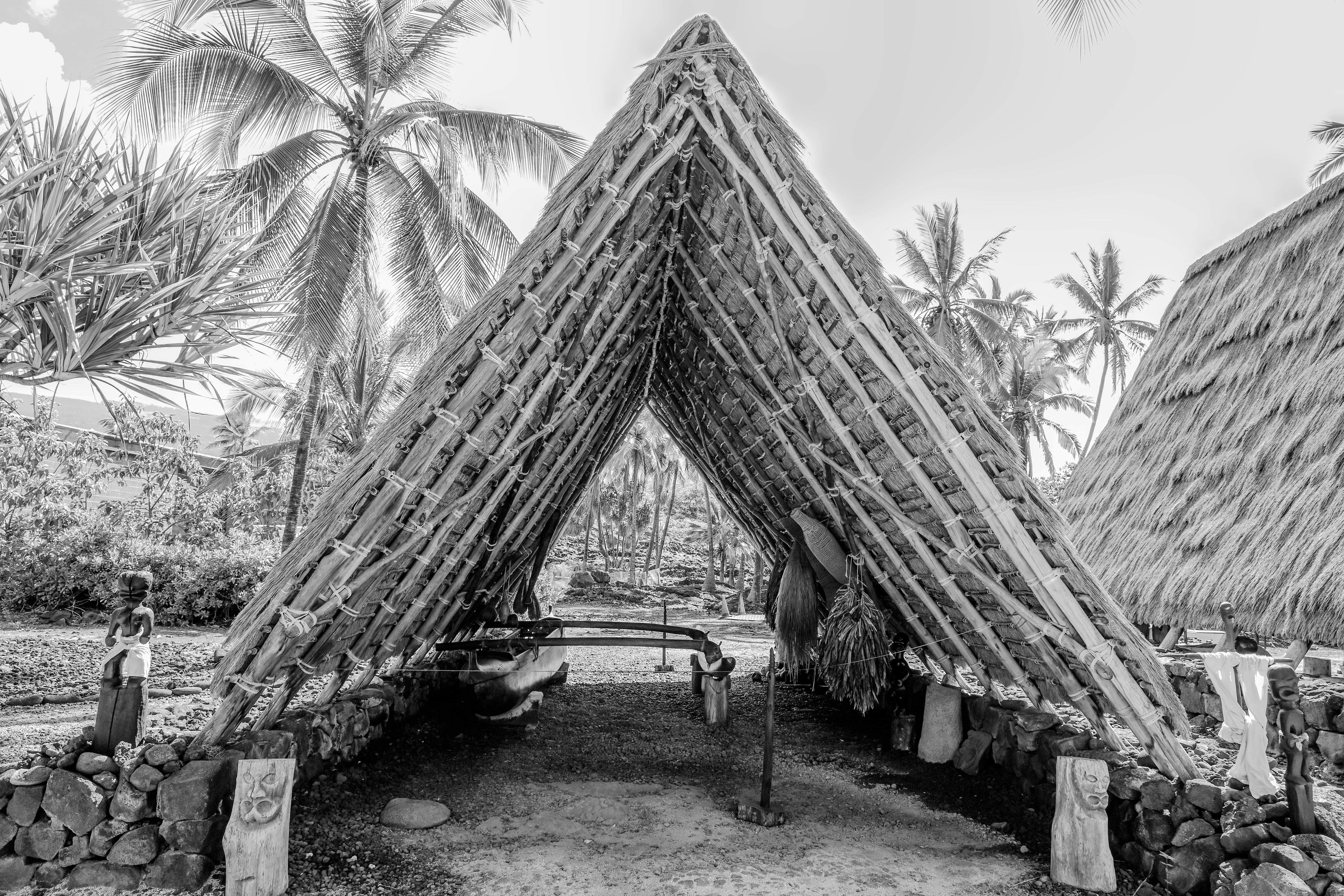 Traditional Hawaiian Hut with Palm Trees · Free Stock Photo