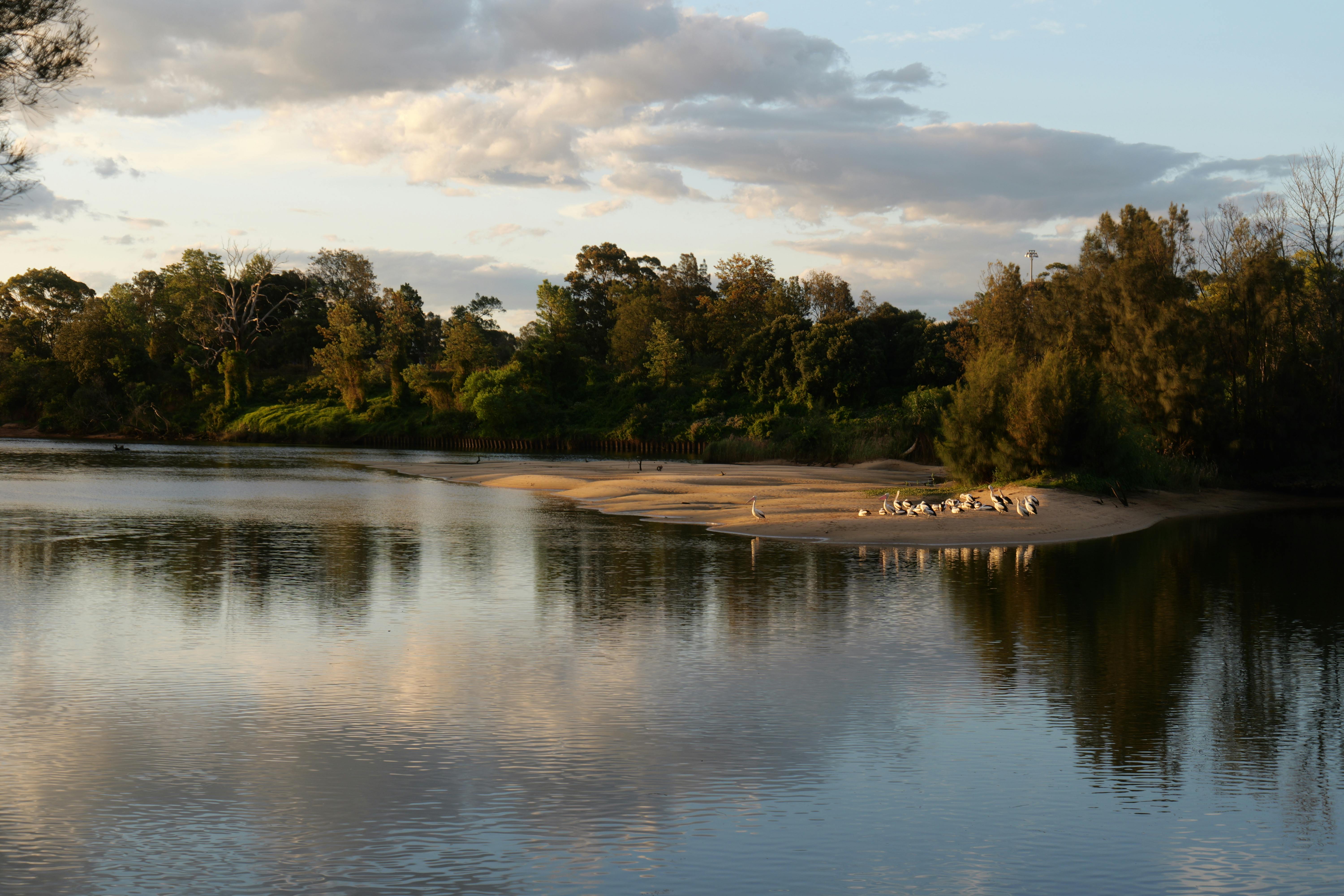 Tranquil River Scene at Sunset in Liverpool NSW · Free Stock Photo