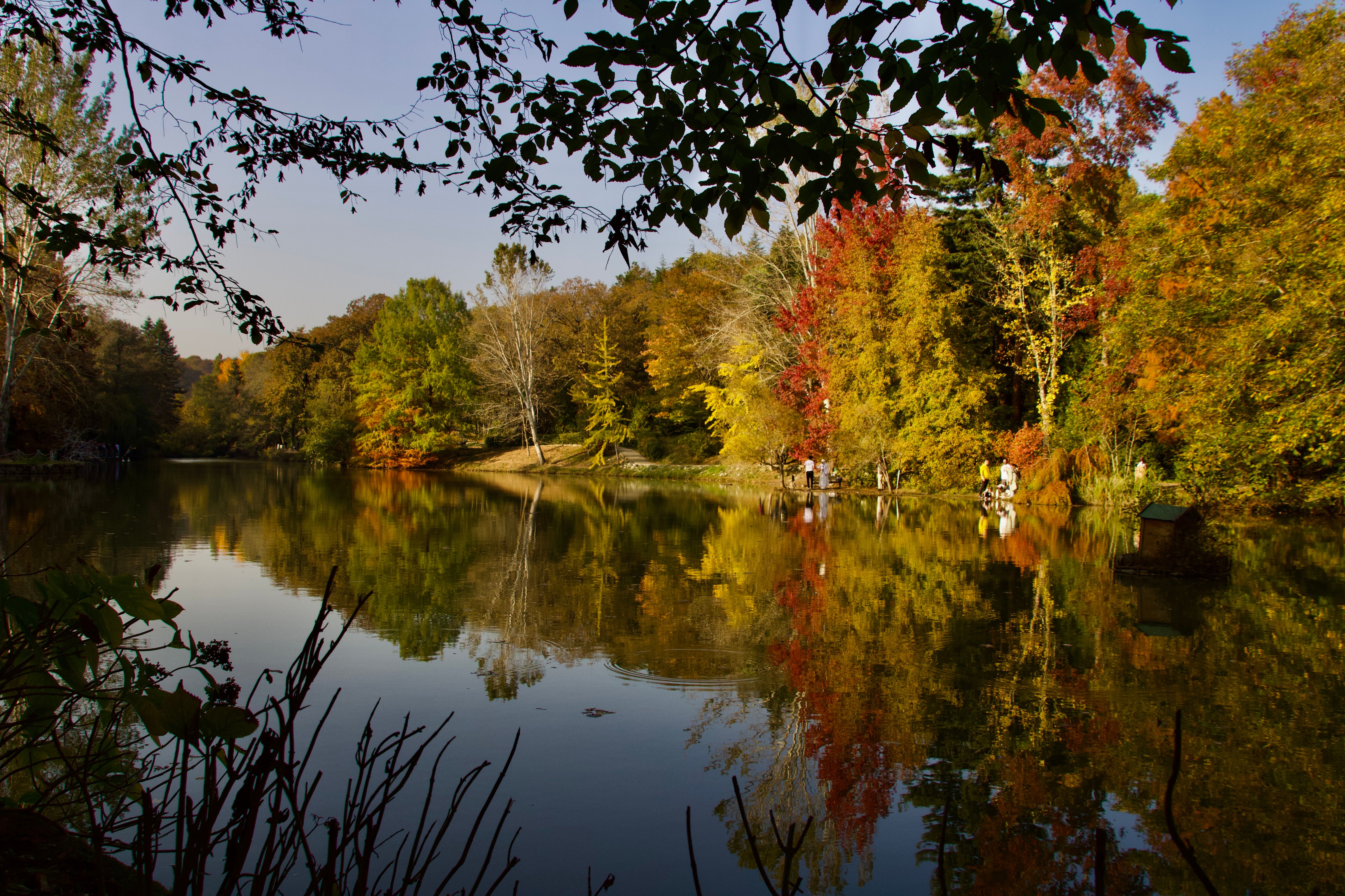 Scenic Fall Landscape with Reflections in Lake · Free Stock Photo