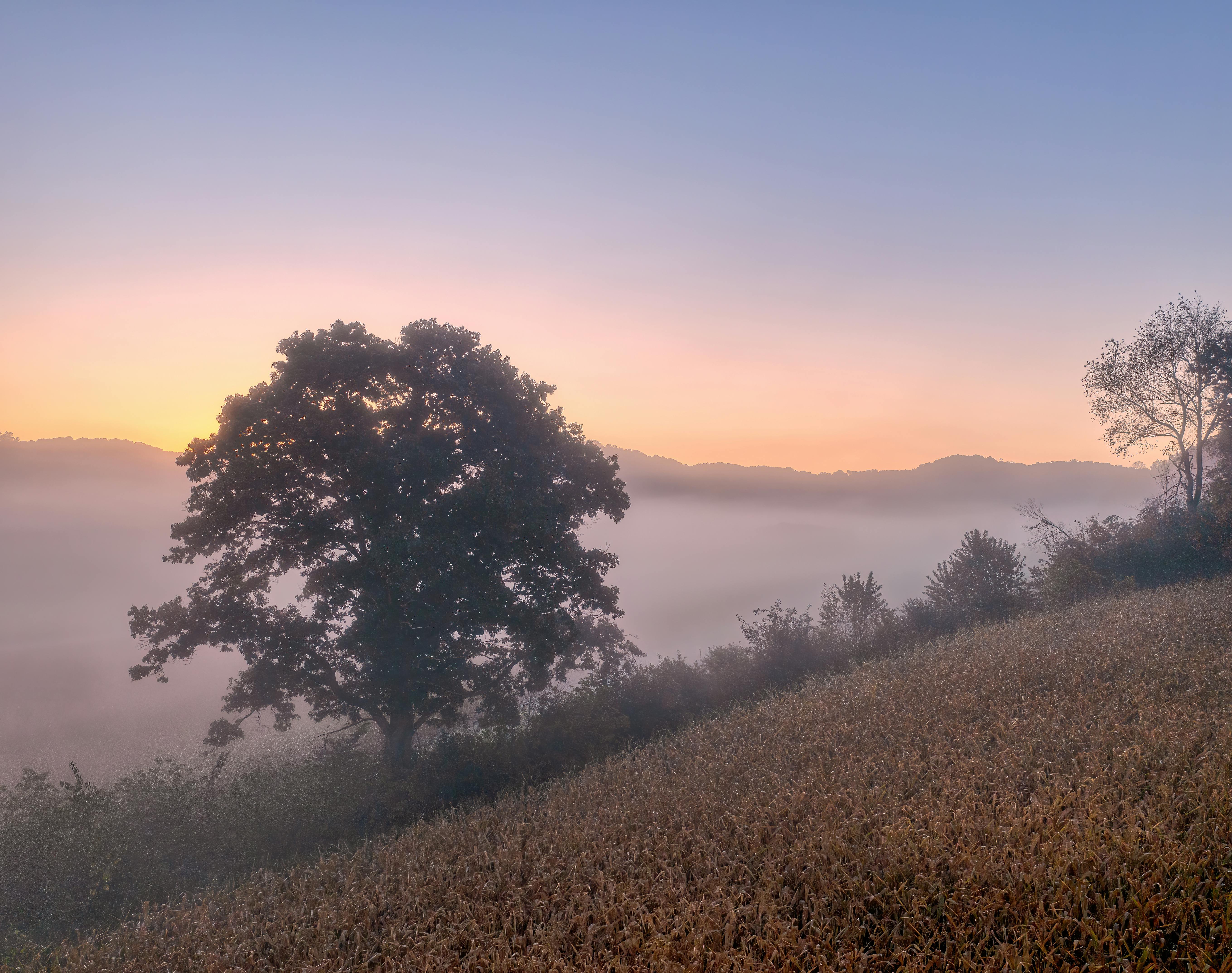 Serene Sunrise Over Misty Wisconsin Landscape · Free Stock Photo