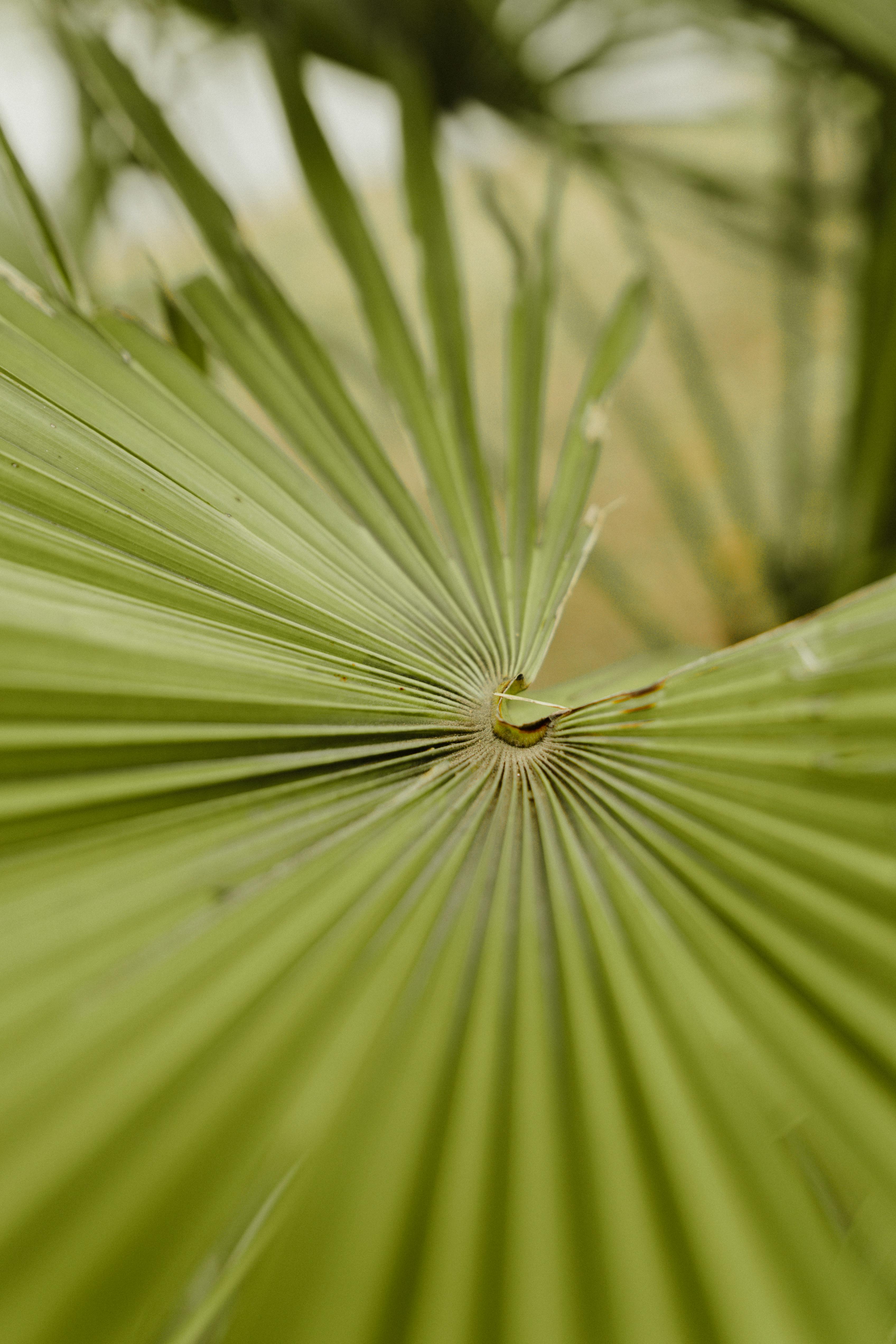 Testimony Background Photos, Download The BEST Free Testimony ...