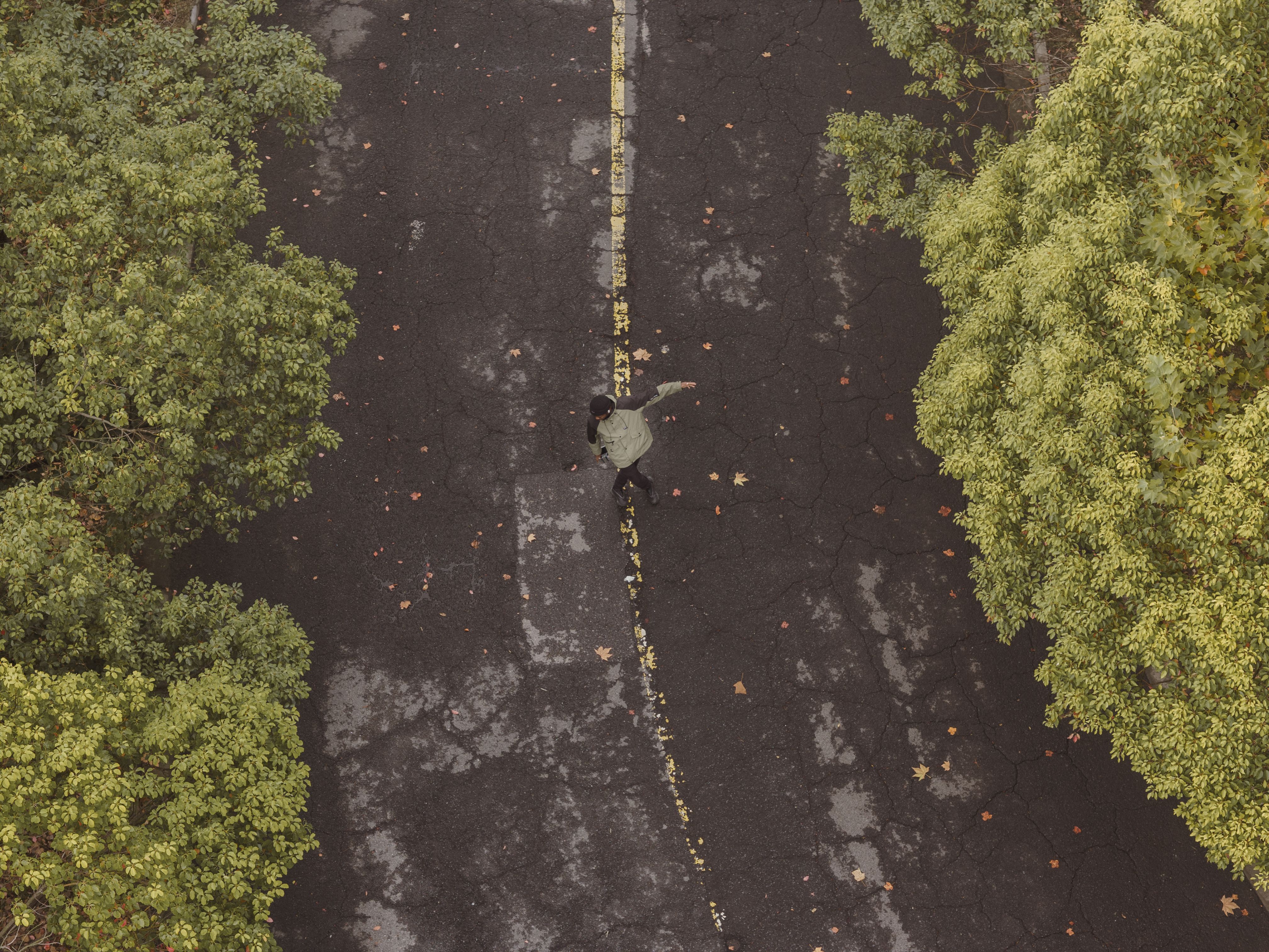 Aerial View of Person Walking on Tree-Lined Road · Free Stock Photo