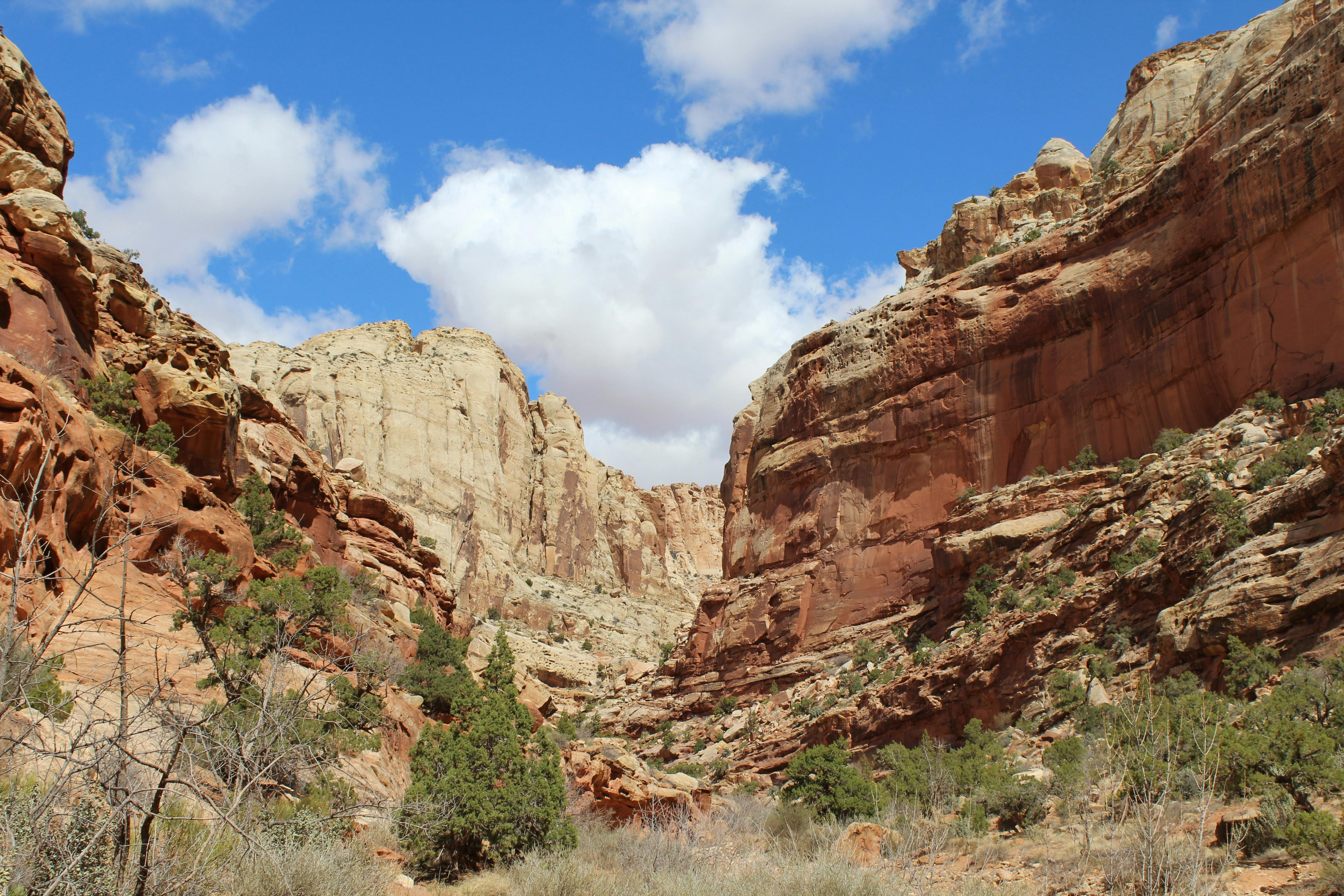 Southern Utah Red Rocks Photos, Download The BEST Free Southern Utah ...
