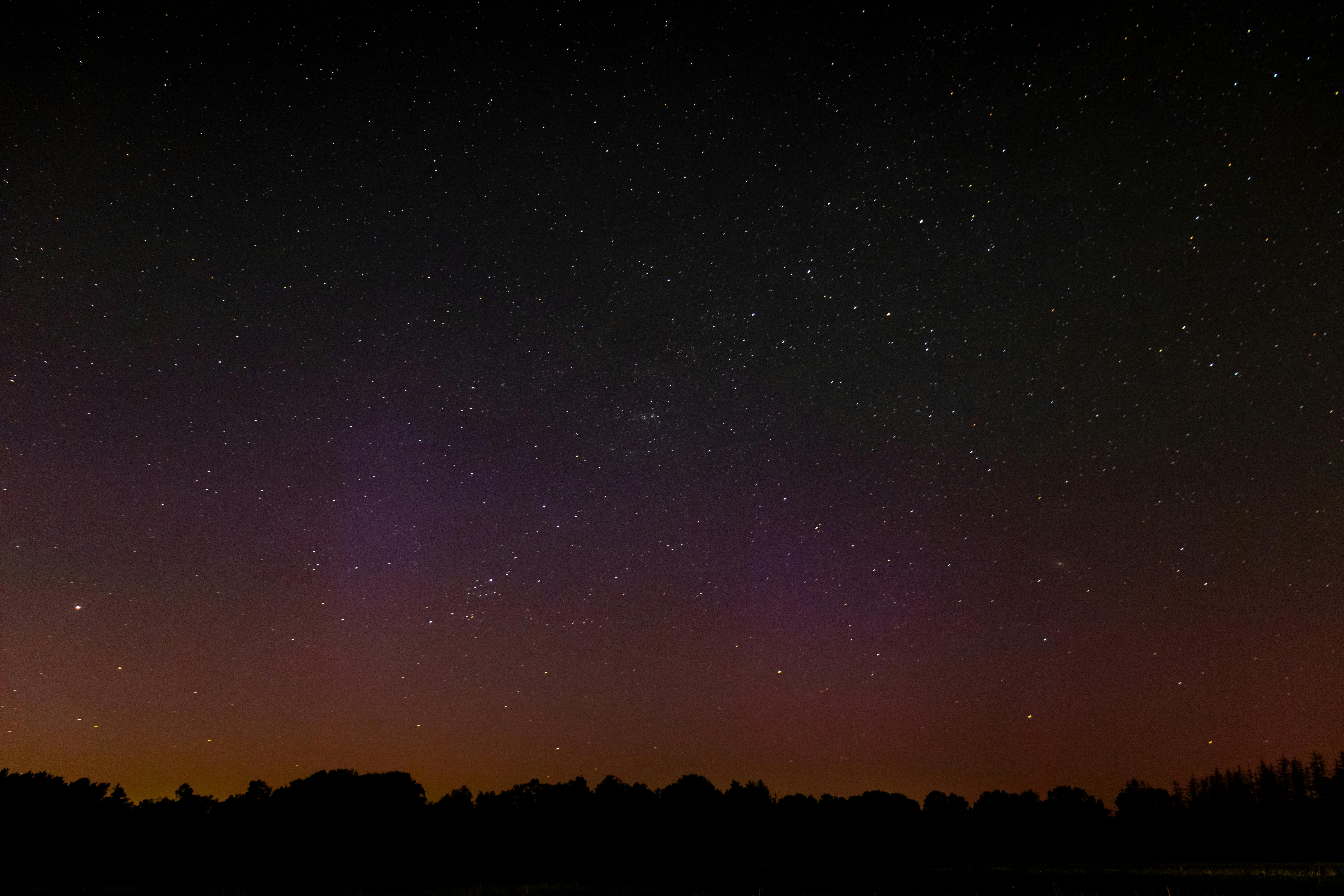 4k Wallpaper Violet And Tiern Photos, Download The BEST Free 4k ...