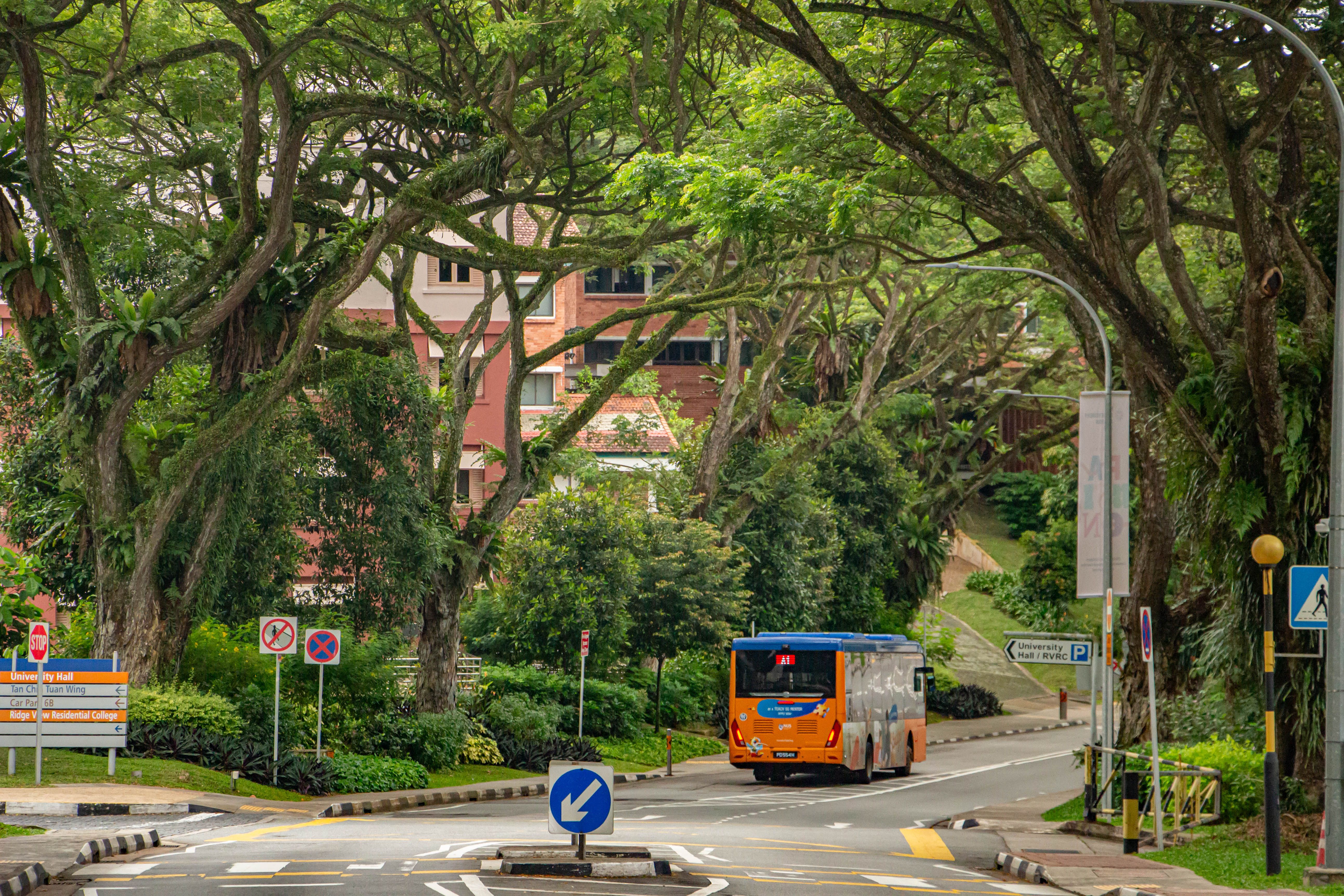 Shade Canopy Bus Photos, Download The BEST Free Shade Canopy Bus Stock ...