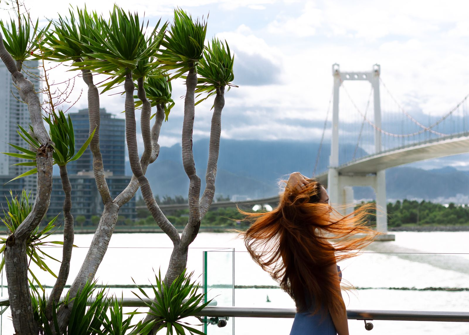 Windy Day Photos, Download The BEST Free Windy Day Stock Photos & HD Images