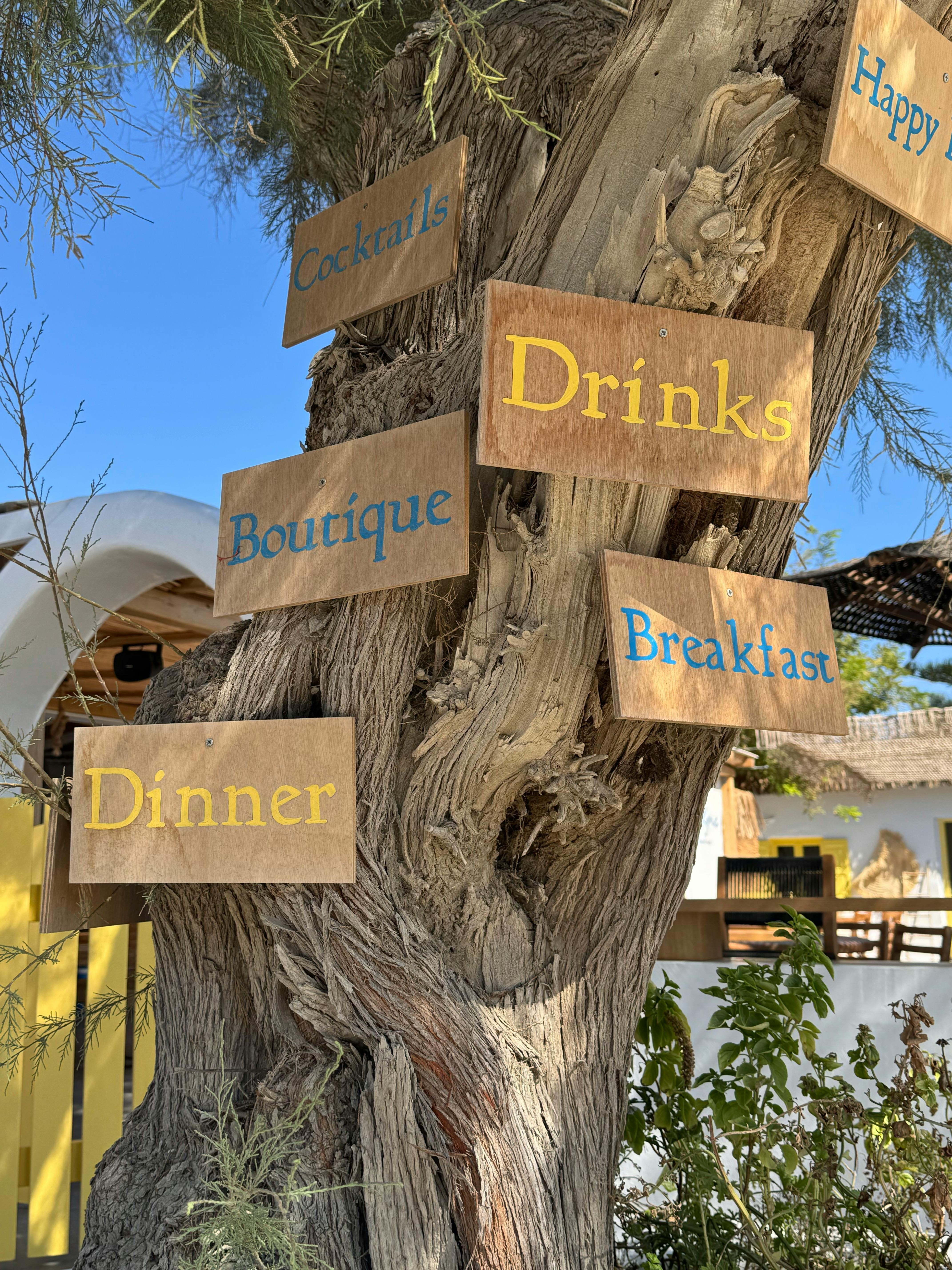 Rustic Wooden Signs on Tree in Sunny Outdoor Cafe · Free Stock Photo