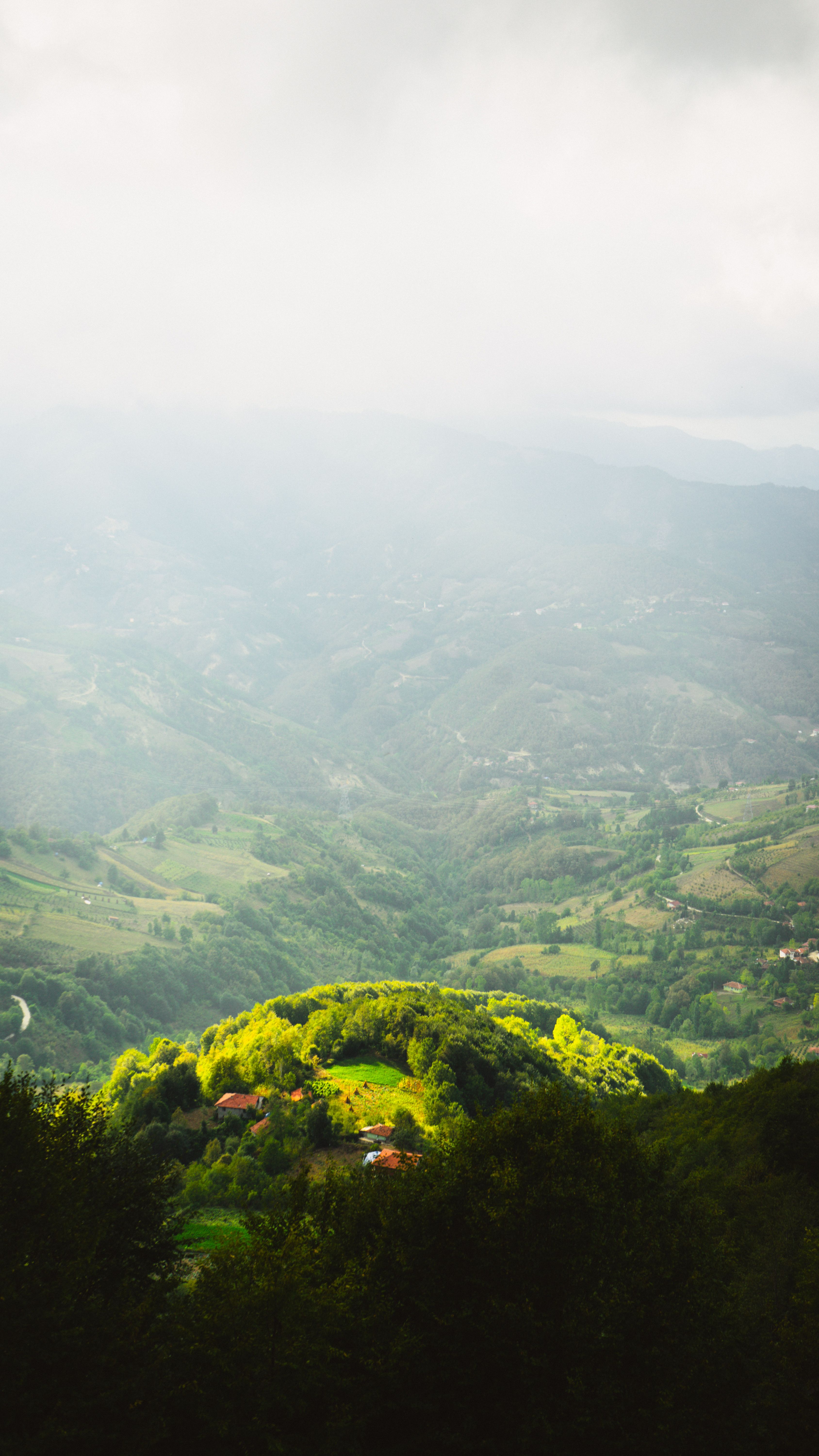 Scenic Green Valleys in Erbaa, Türkiye · Free Stock Photo