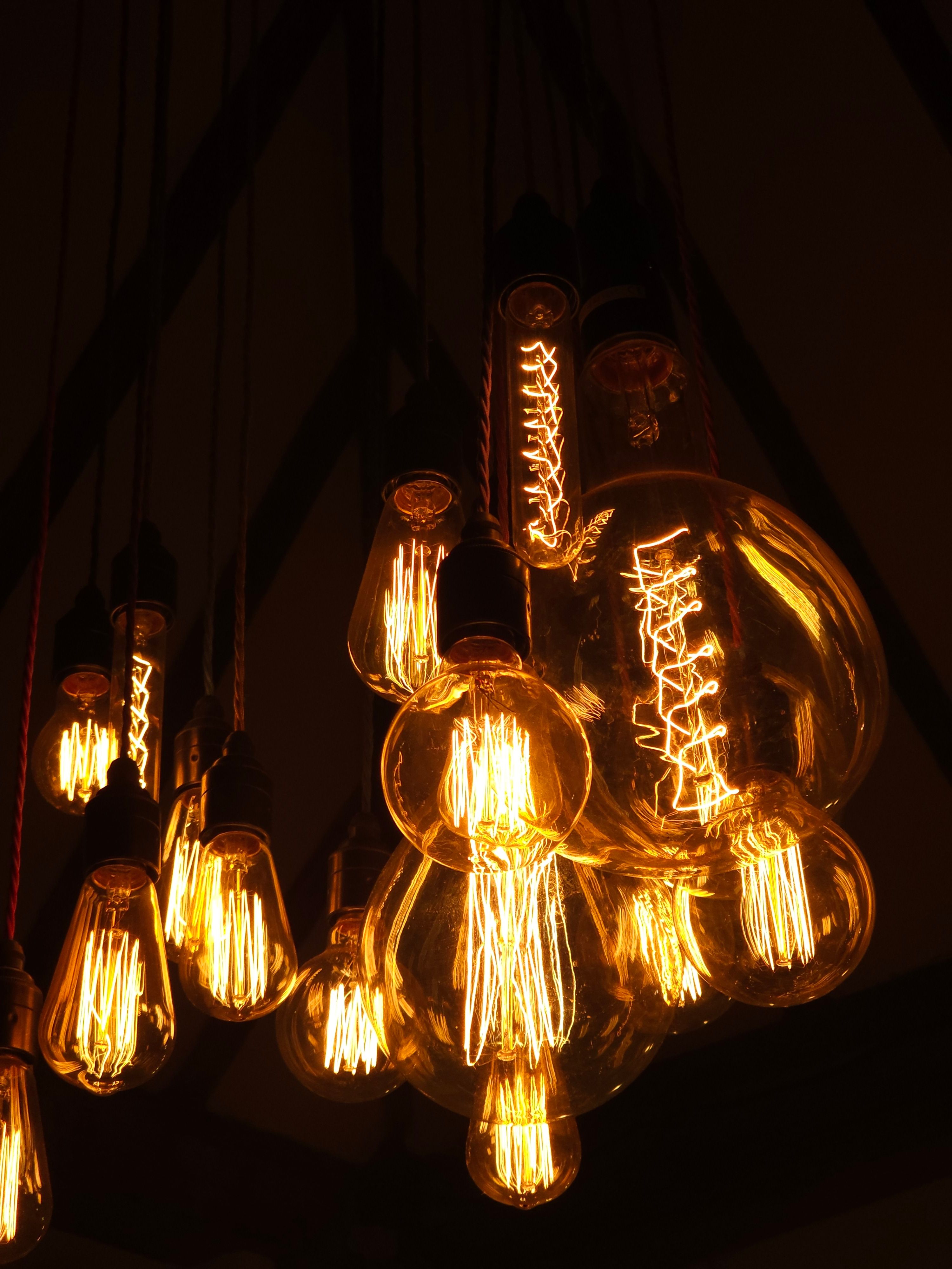 Warm Glow of Vintage Edison Bulbs · Free Stock Photo