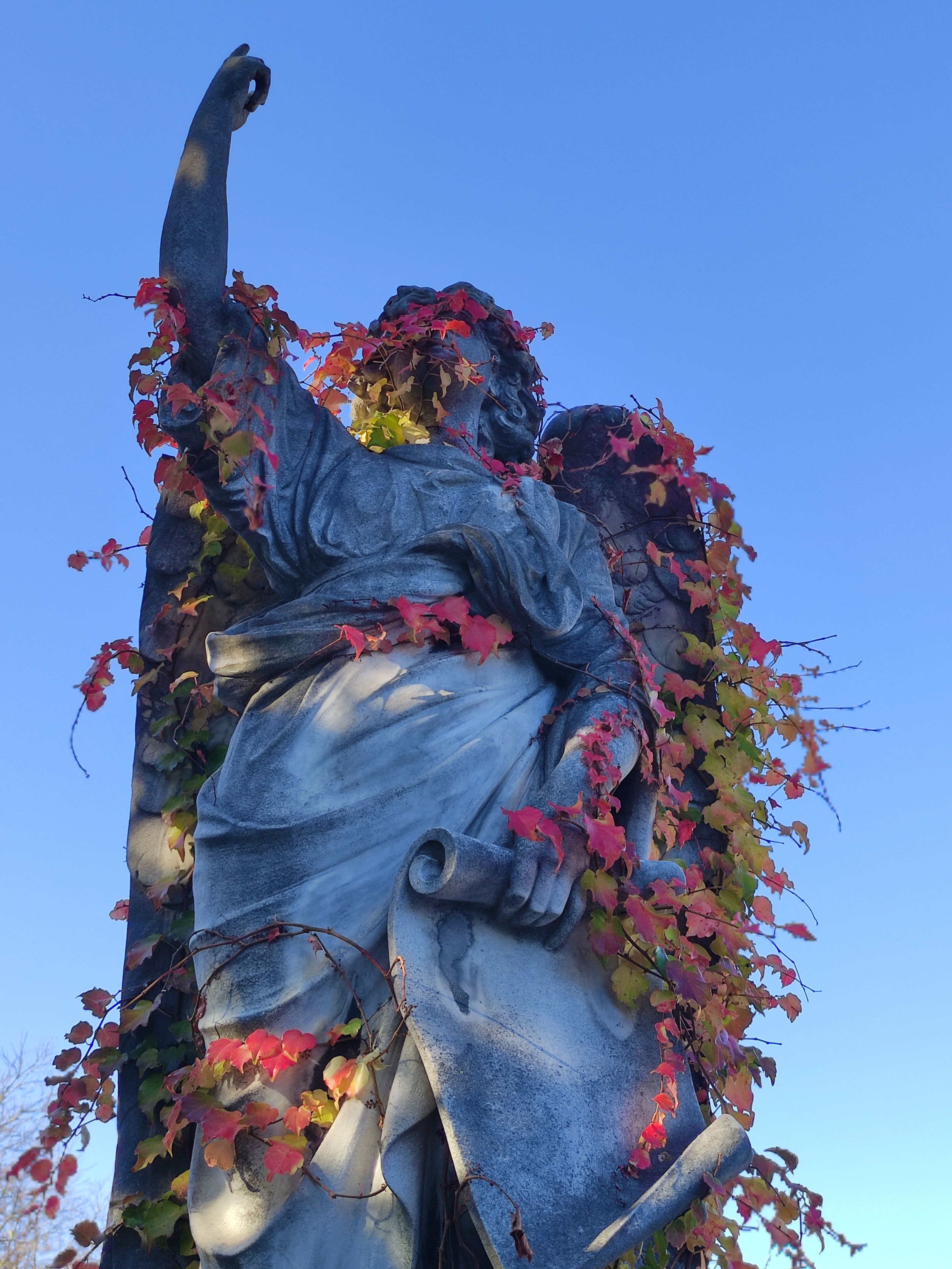 Statue Draped in Autumn Foliage Against Clear Sky · Free Stock Photo