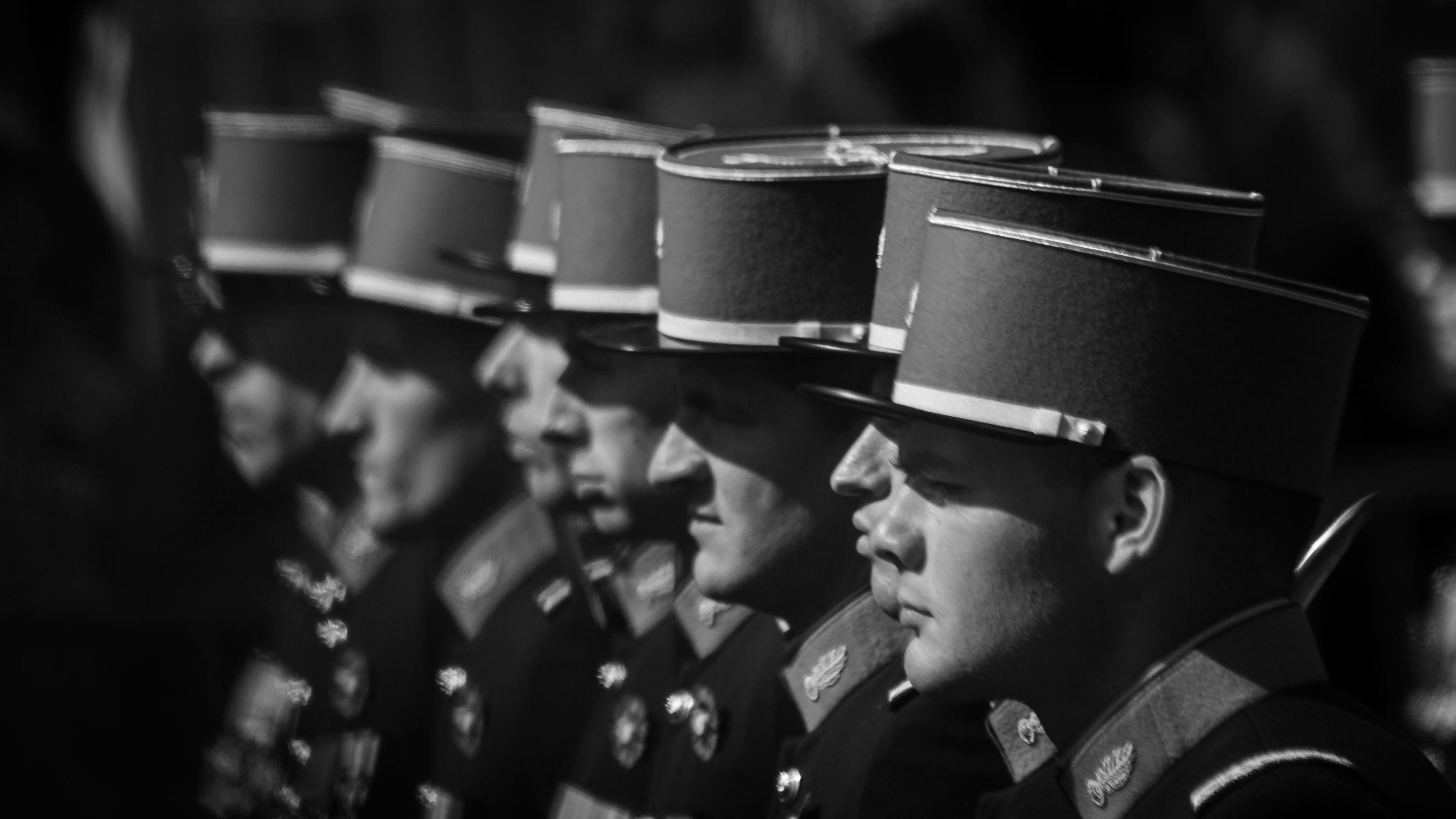 Military Officers in Formal Ceremony Lineup · Free Stock Photo