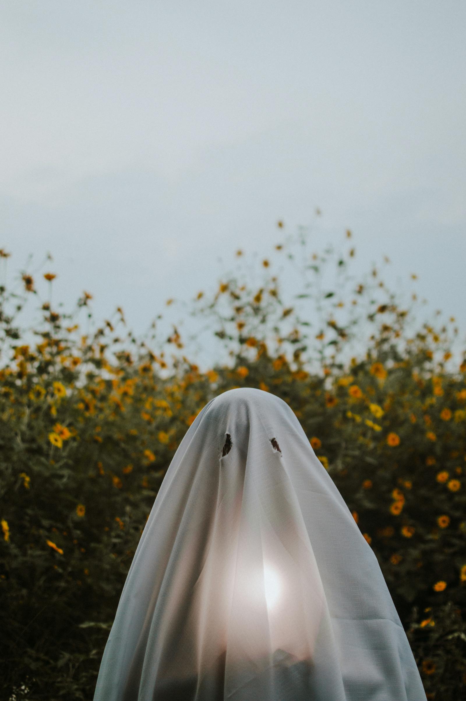 Ghost Images Photos, Download The BEST Free Ghost Images Stock Photos ...