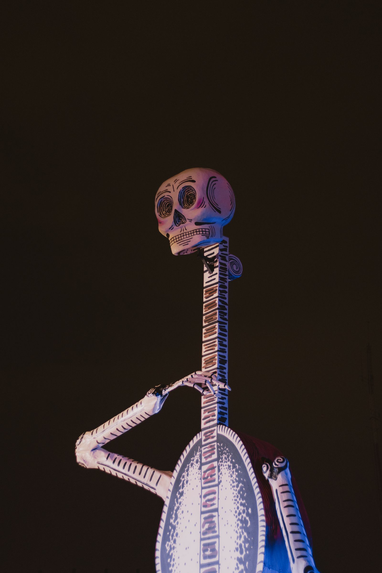 Skeleton Head Photos, Download The BEST Free Skeleton Head Stock Photos ...