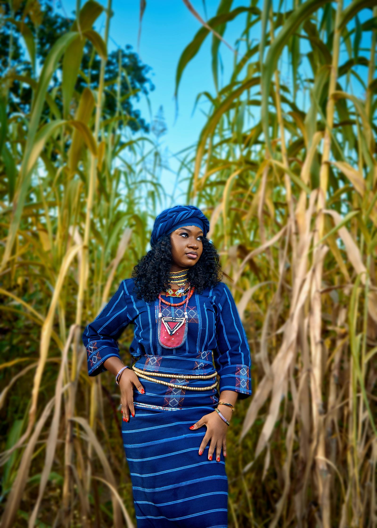 Niger Photos, Download The BEST Free Niger Stock Photos & HD Images