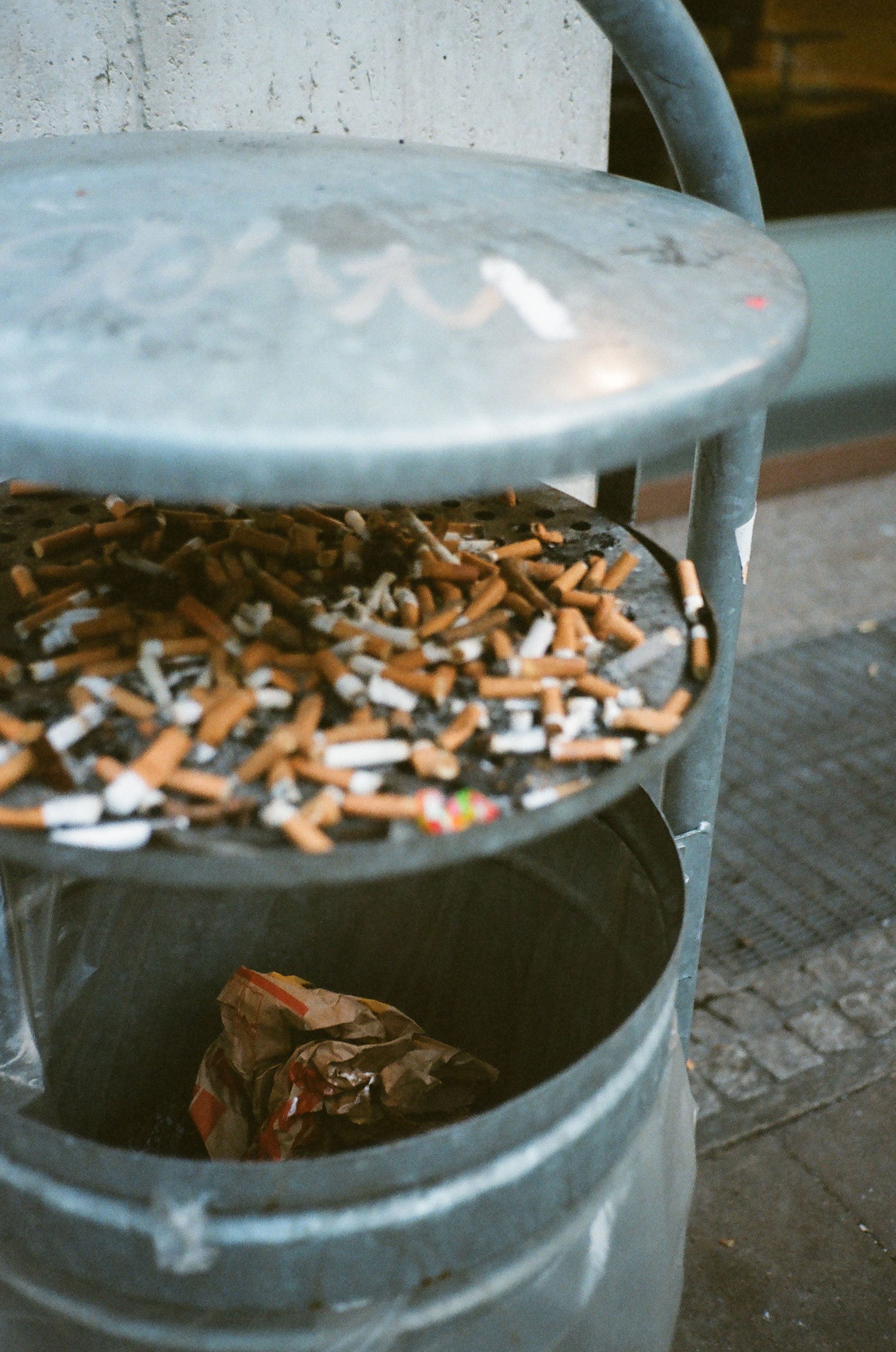 Cigarette Butts in Trash Bin · Free Stock Photo