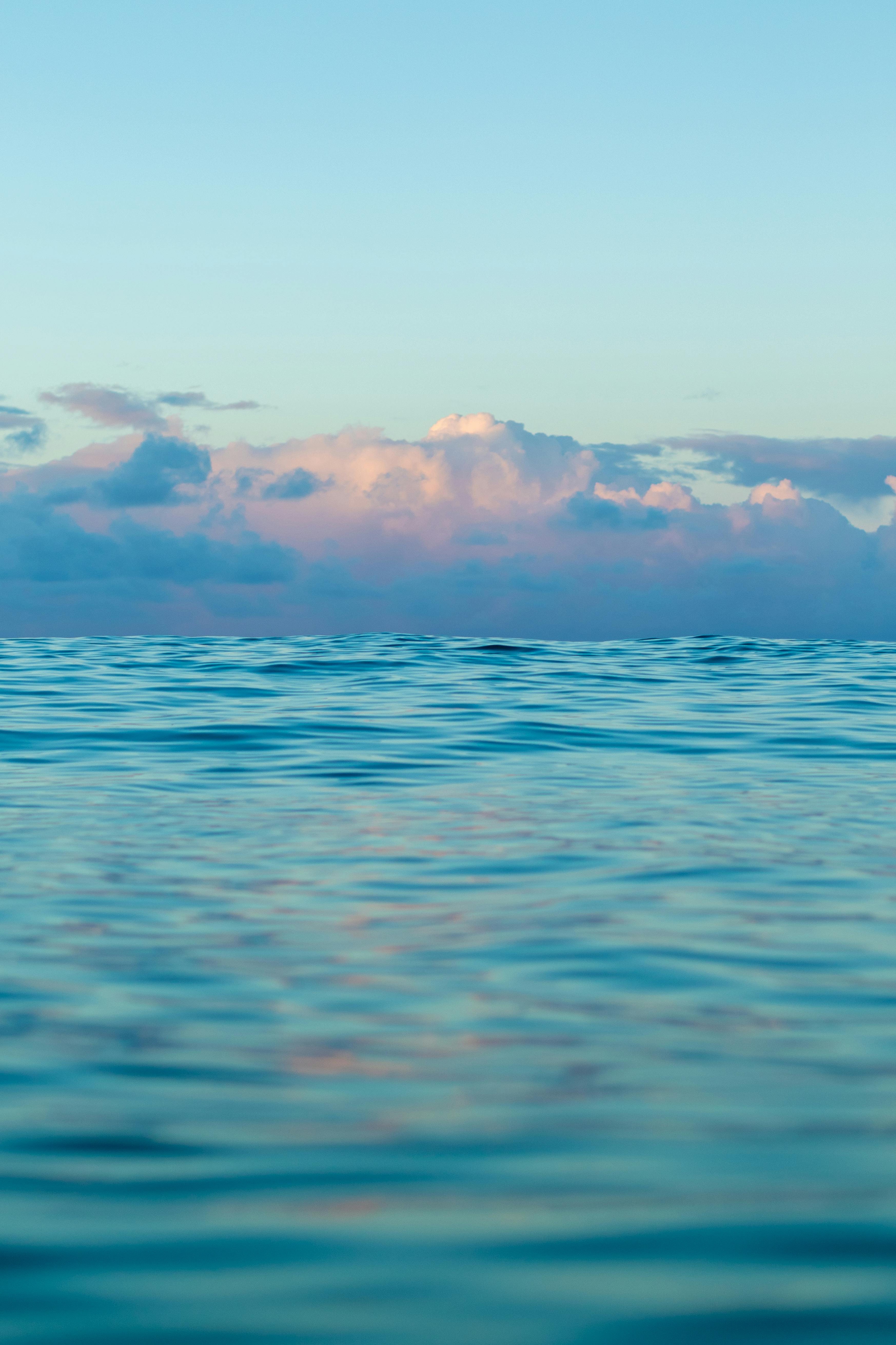Peaceful Ocean View at Dusk in Hawaii · Free Stock Photo