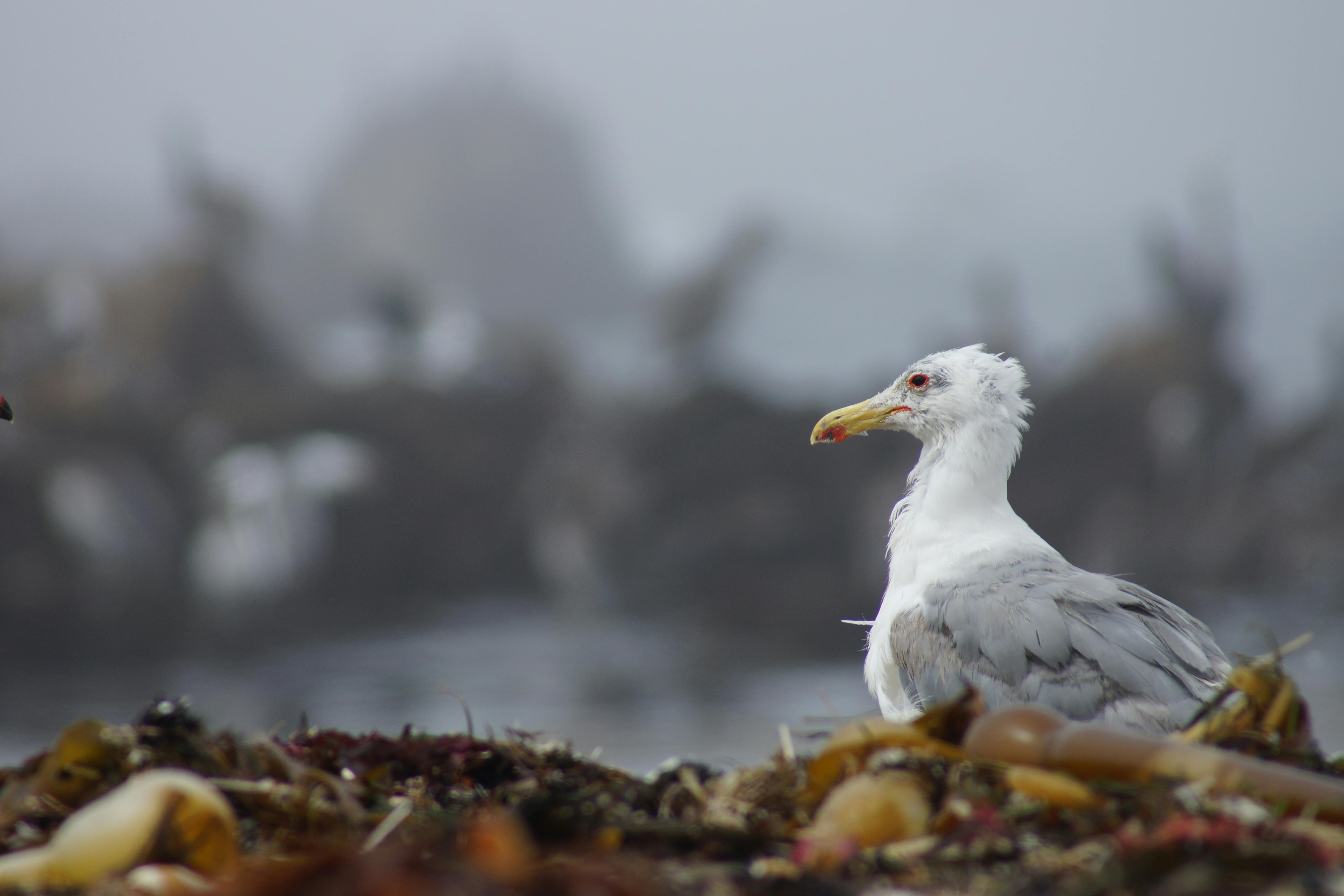 Pixel Smith – Fotografia