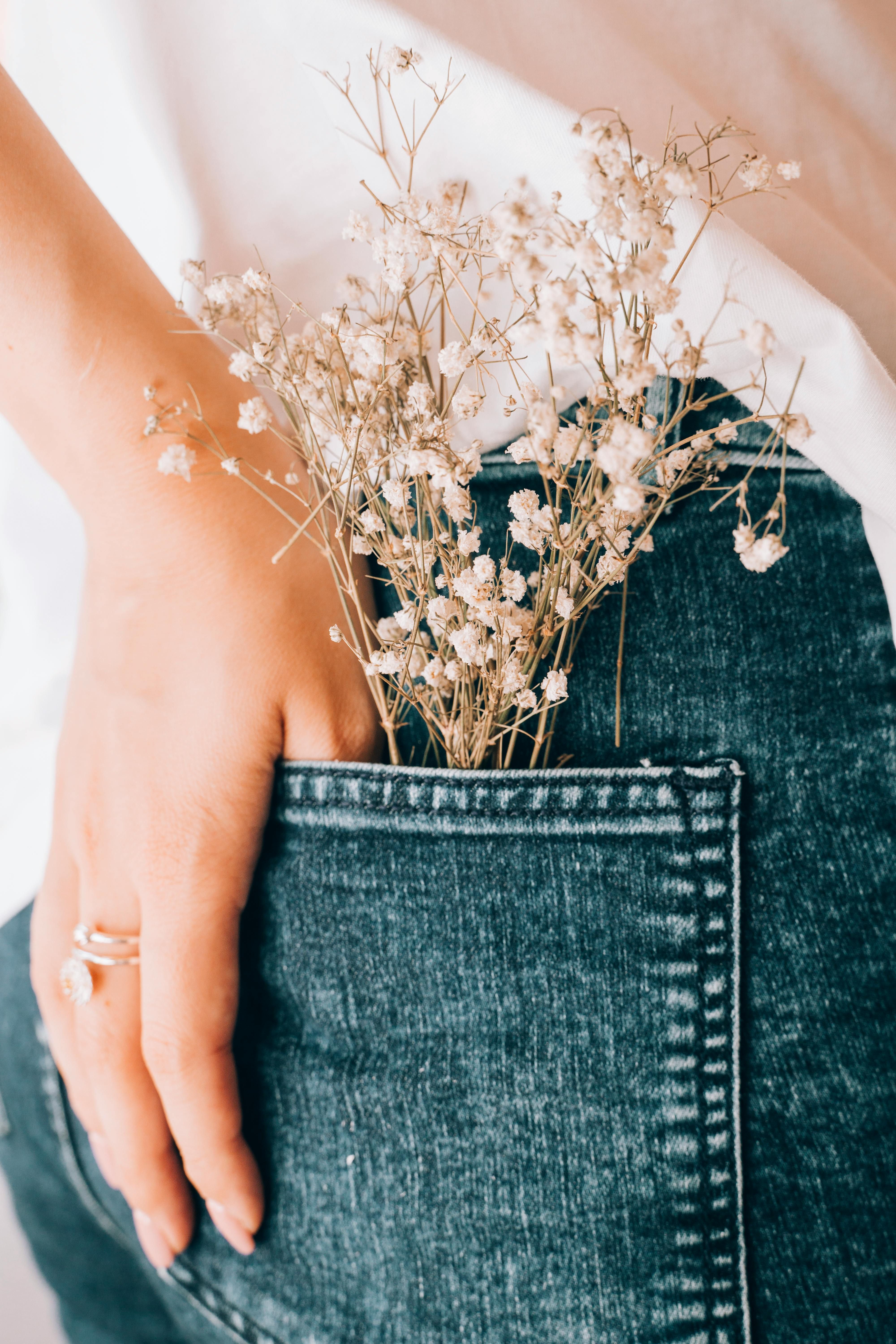 Levis Pocket Design Photos, Download The BEST Free Levis Pocket Design ...