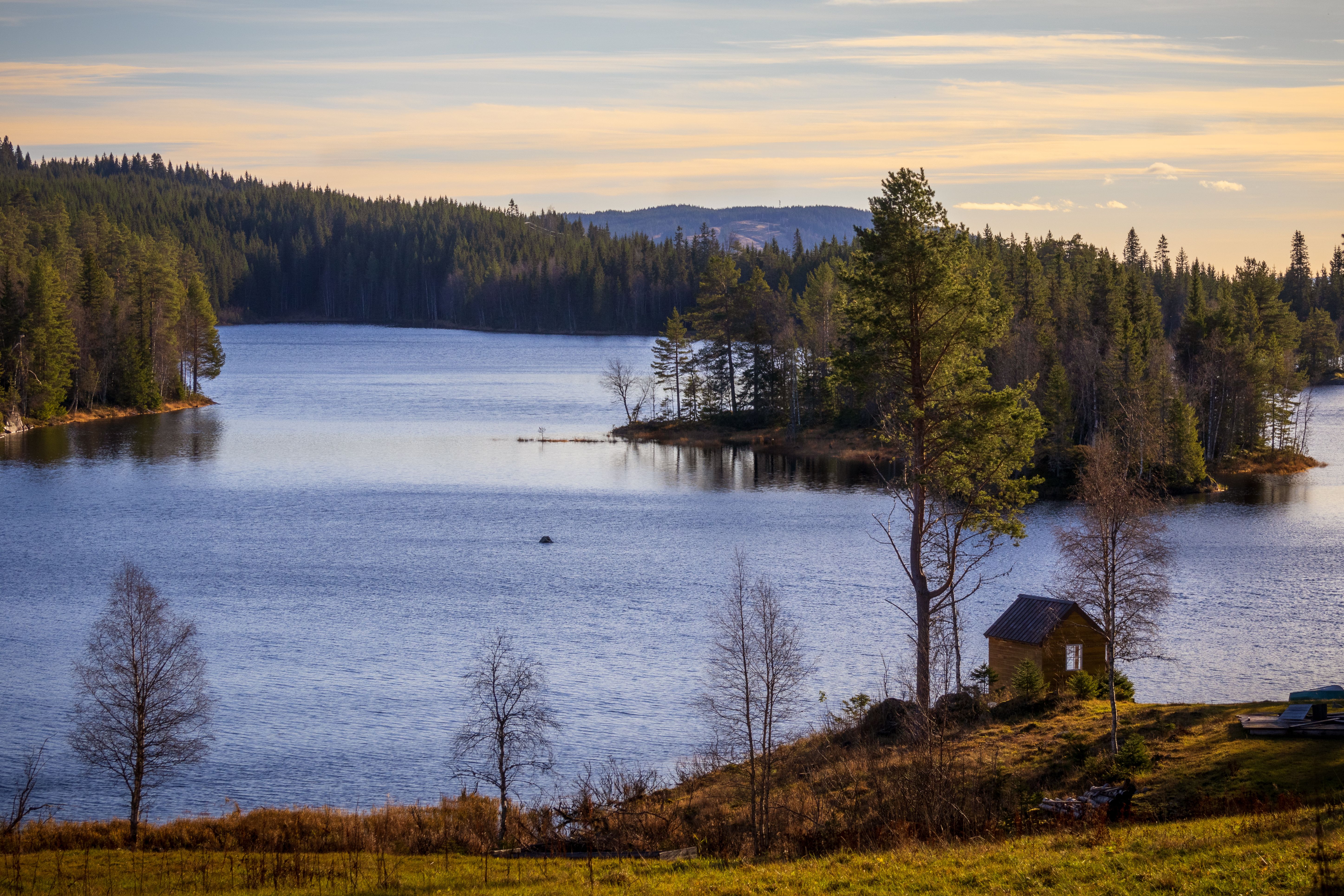 Scenic Lake View with Wooden Shack and Forest · Free Stock Photo