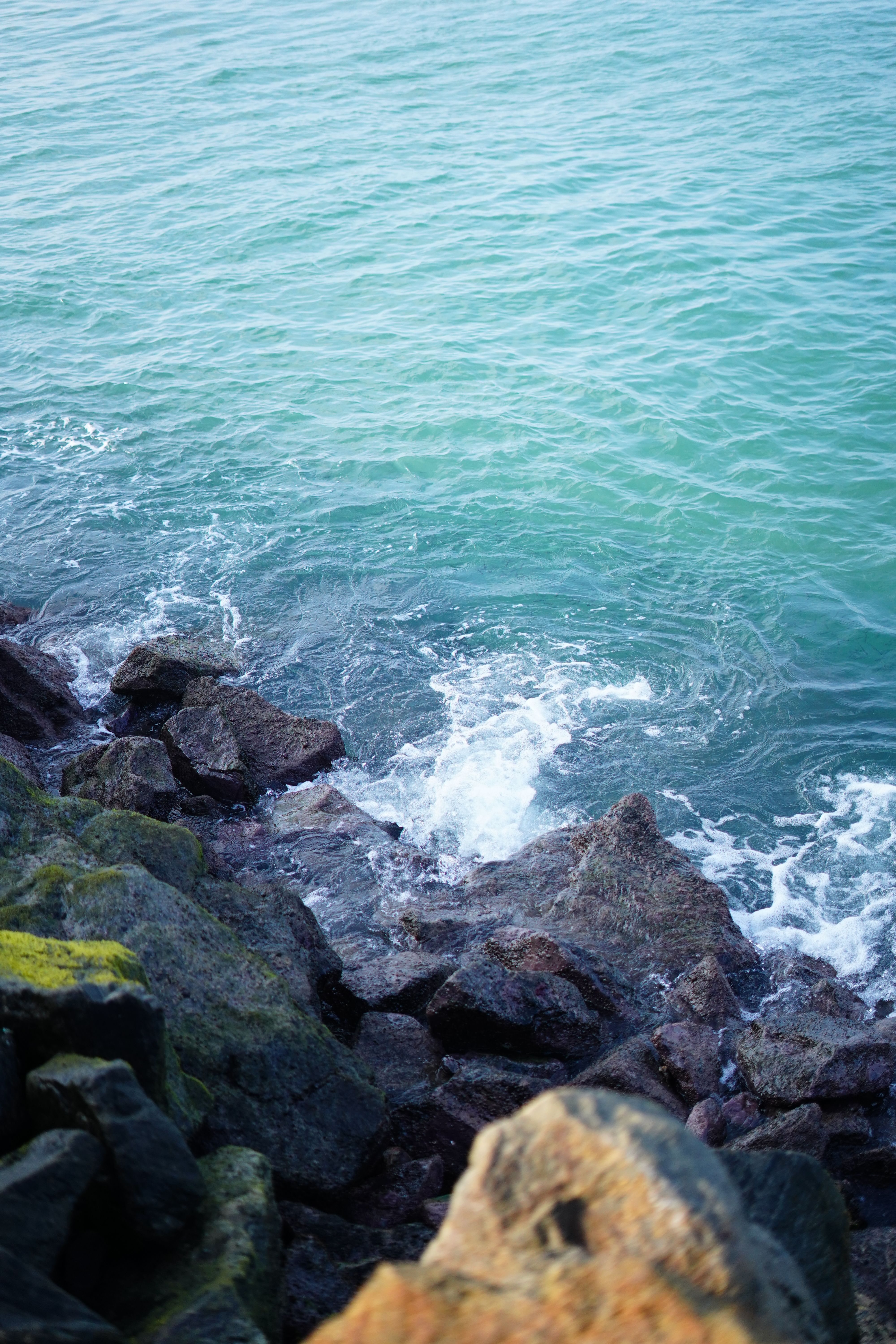 Serene Rocky Shoreline at Dhanushkodi, India · Free Stock Photo
