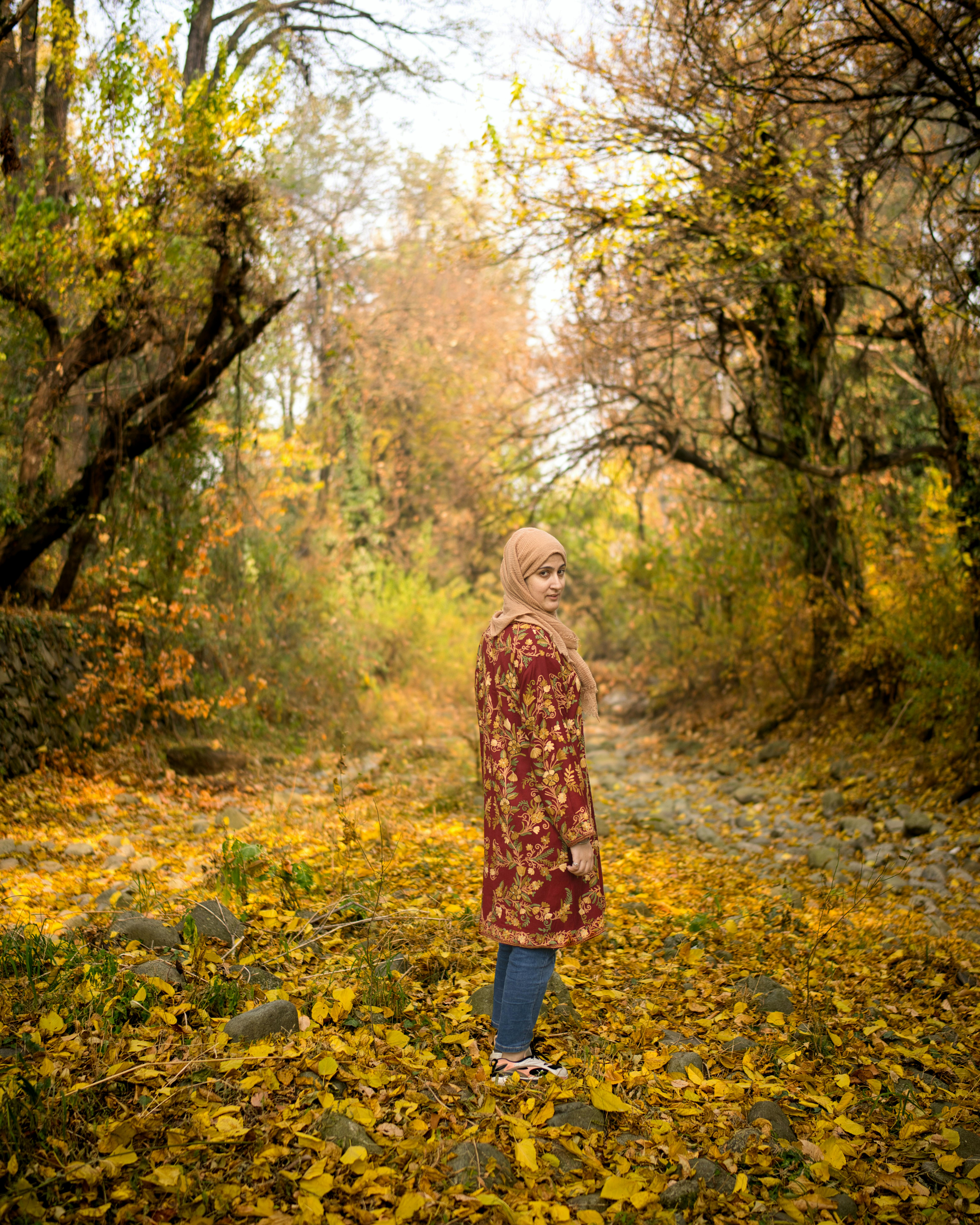 Young Woman in Fall Forest Scenery · Free Stock Photo