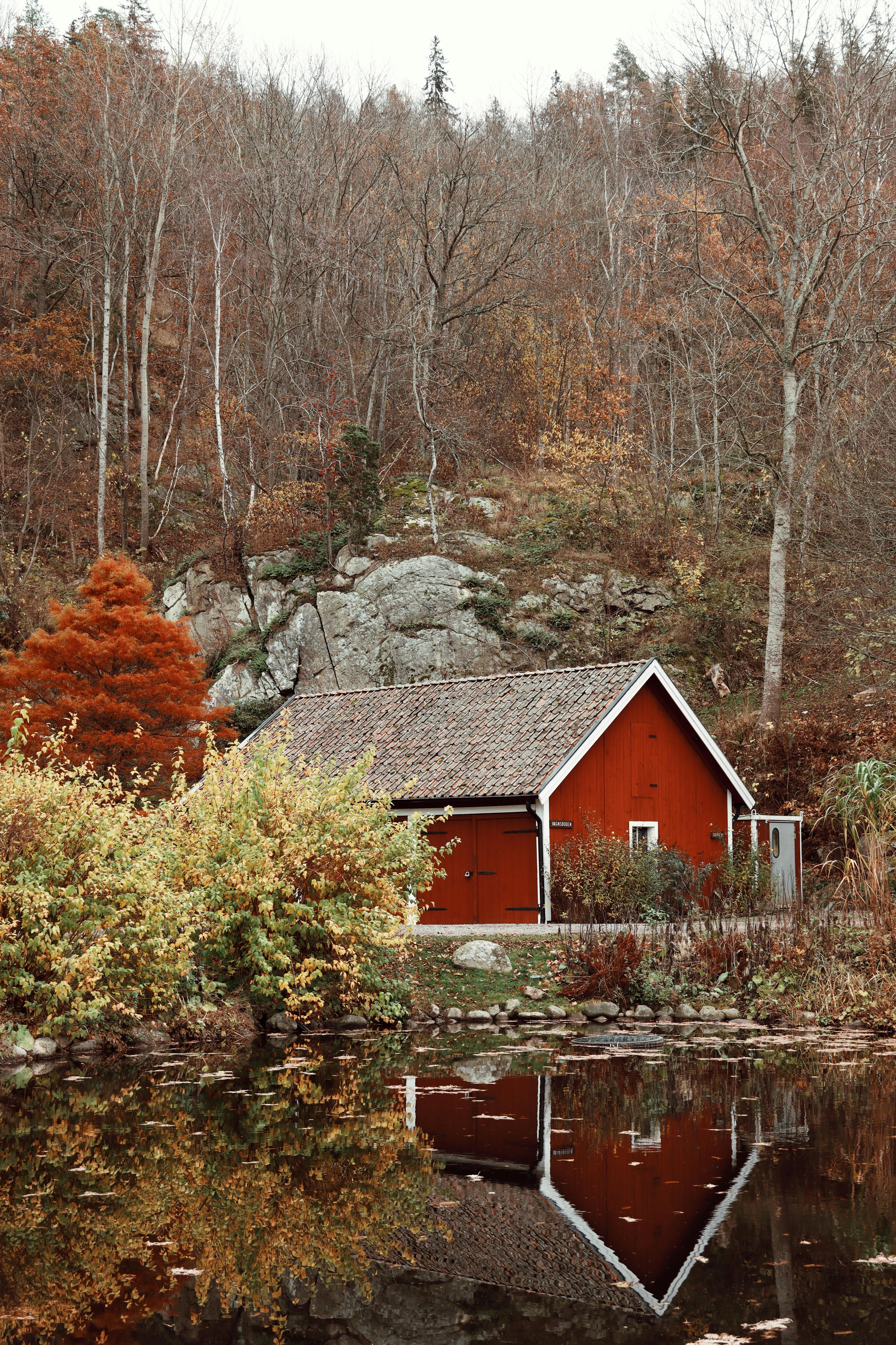 Charming Red Cottage in Swedish Autumn Landscape · Free Stock Photo