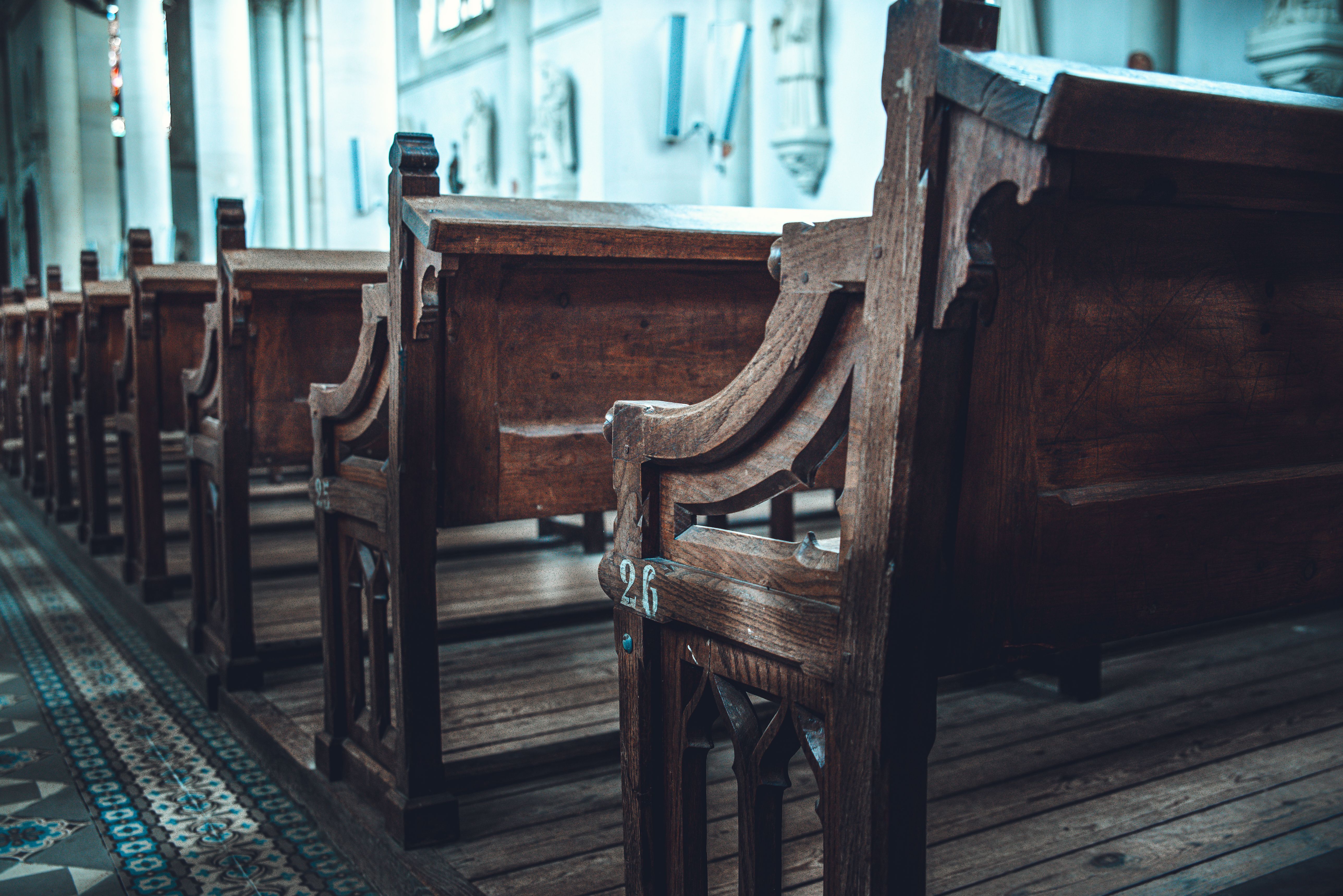 Elegant Wooden Church Pews in Sunlit Interior · Free Stock Photo