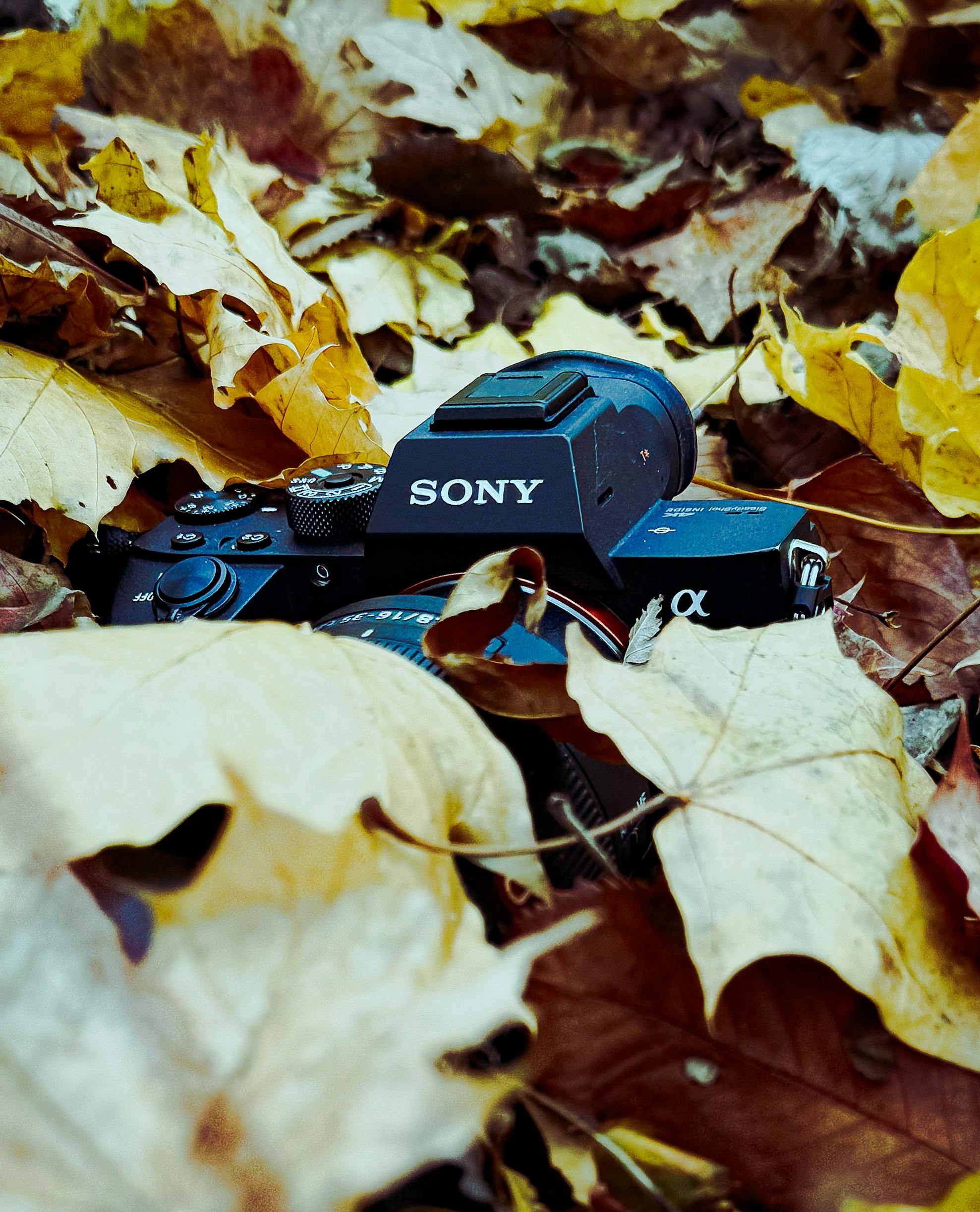 Hidden Camera Photos, Download The BEST Free Hidden Camera Stock Photos ...