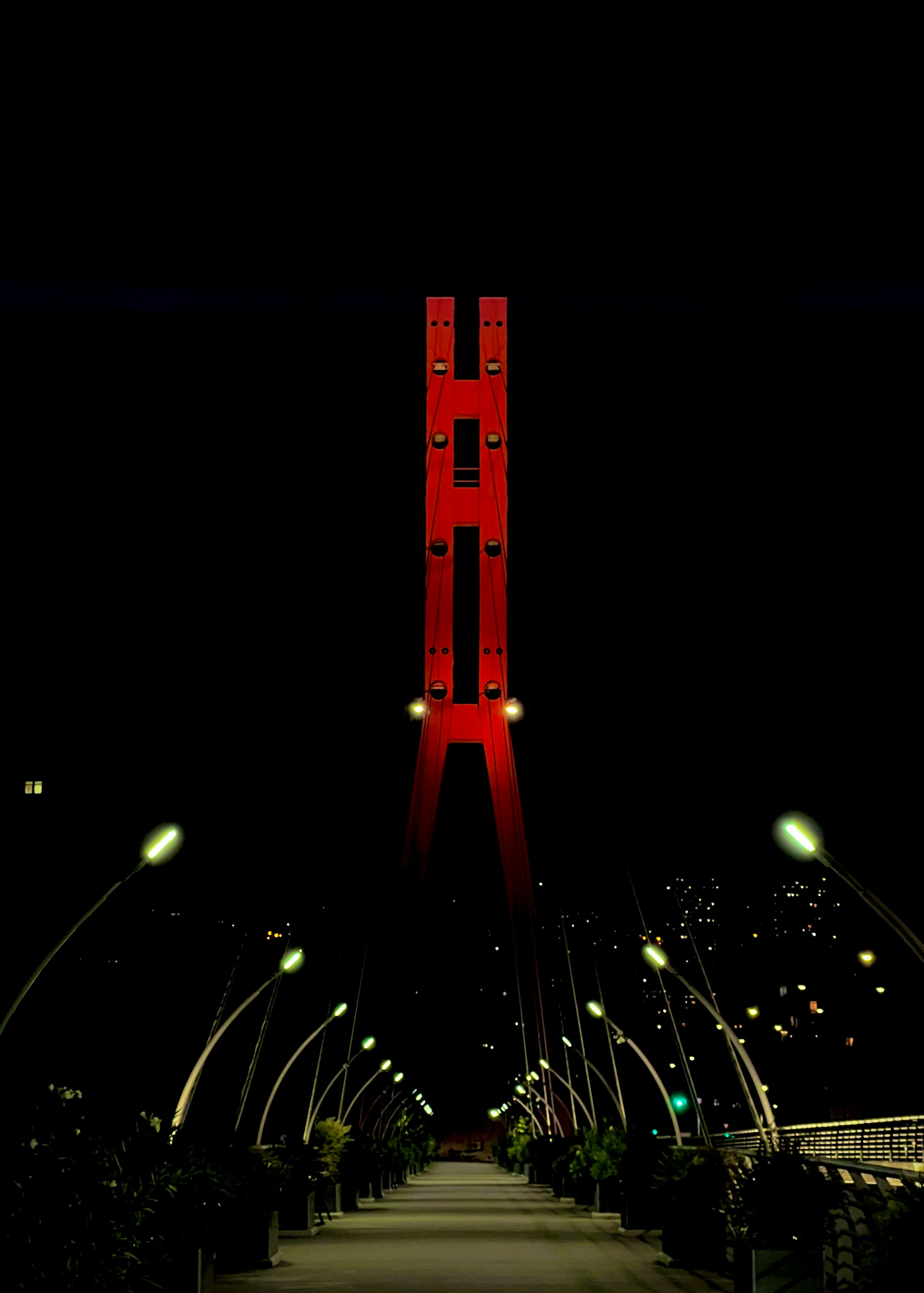 Man in Bridge · Free Stock Photo