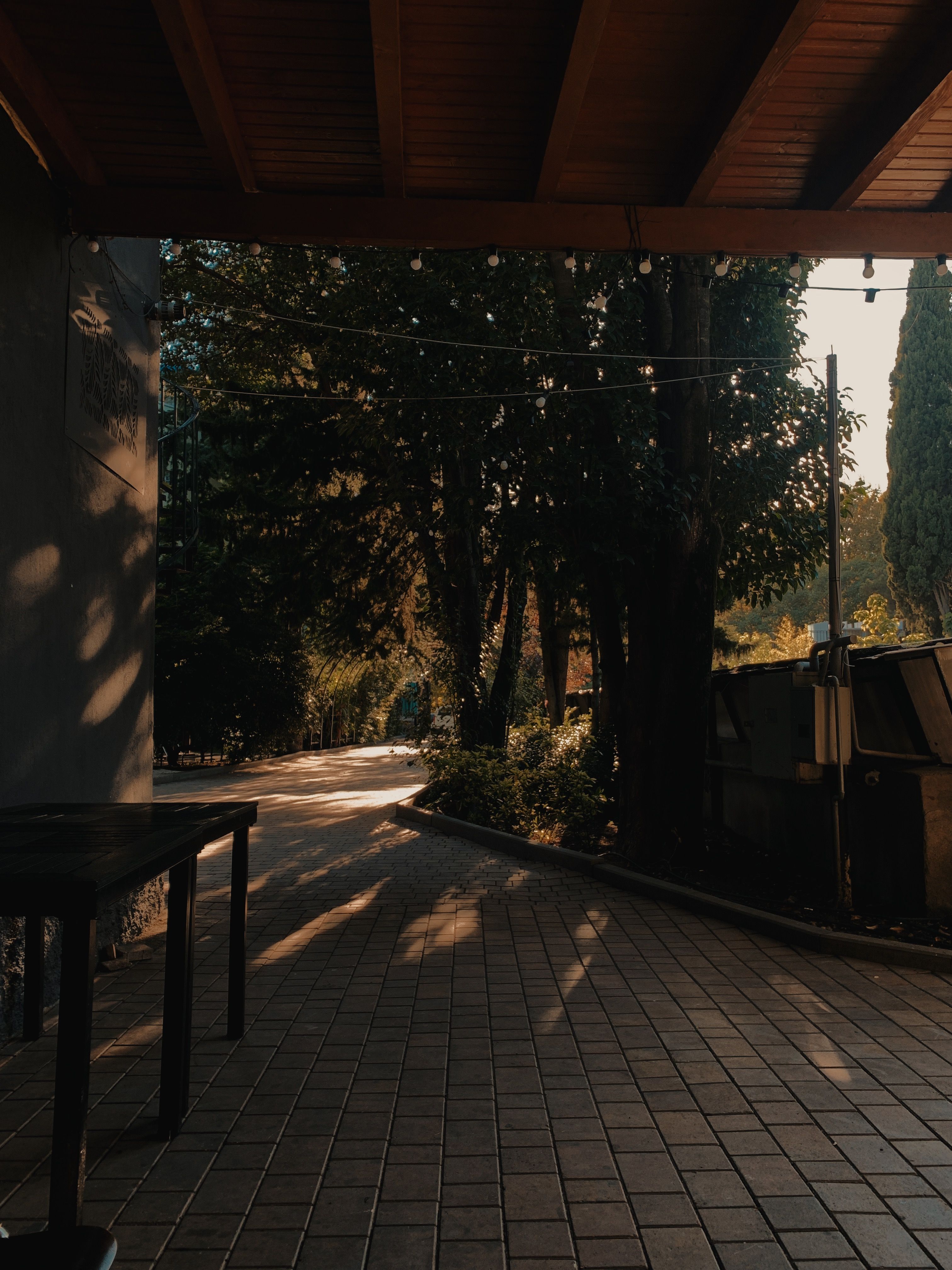 Sunlit Pathway in Tbilisi, Georgia · Free Stock Photo
