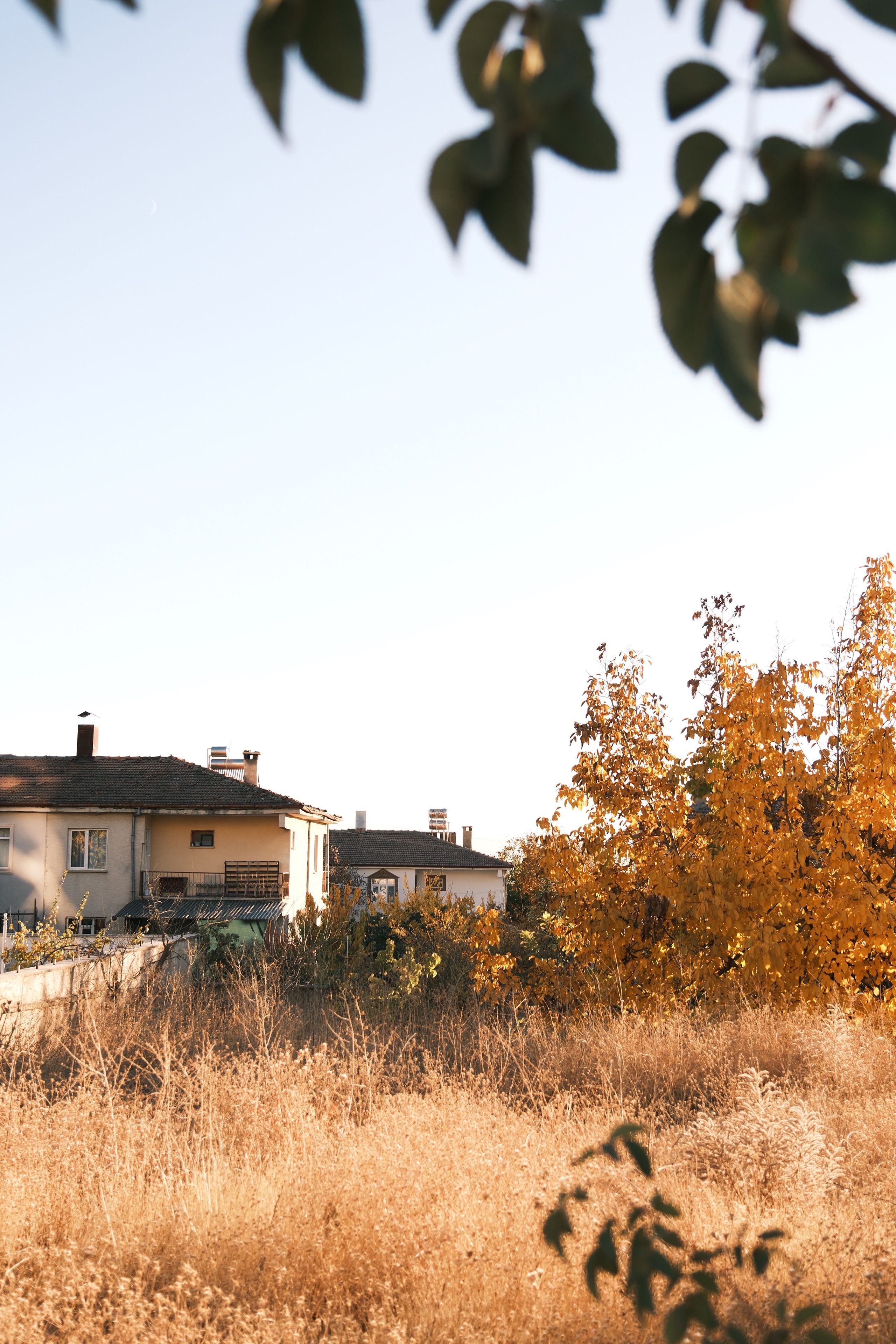 Golden Hour Home Photos, Download The BEST Free Golden Hour Home Stock ...