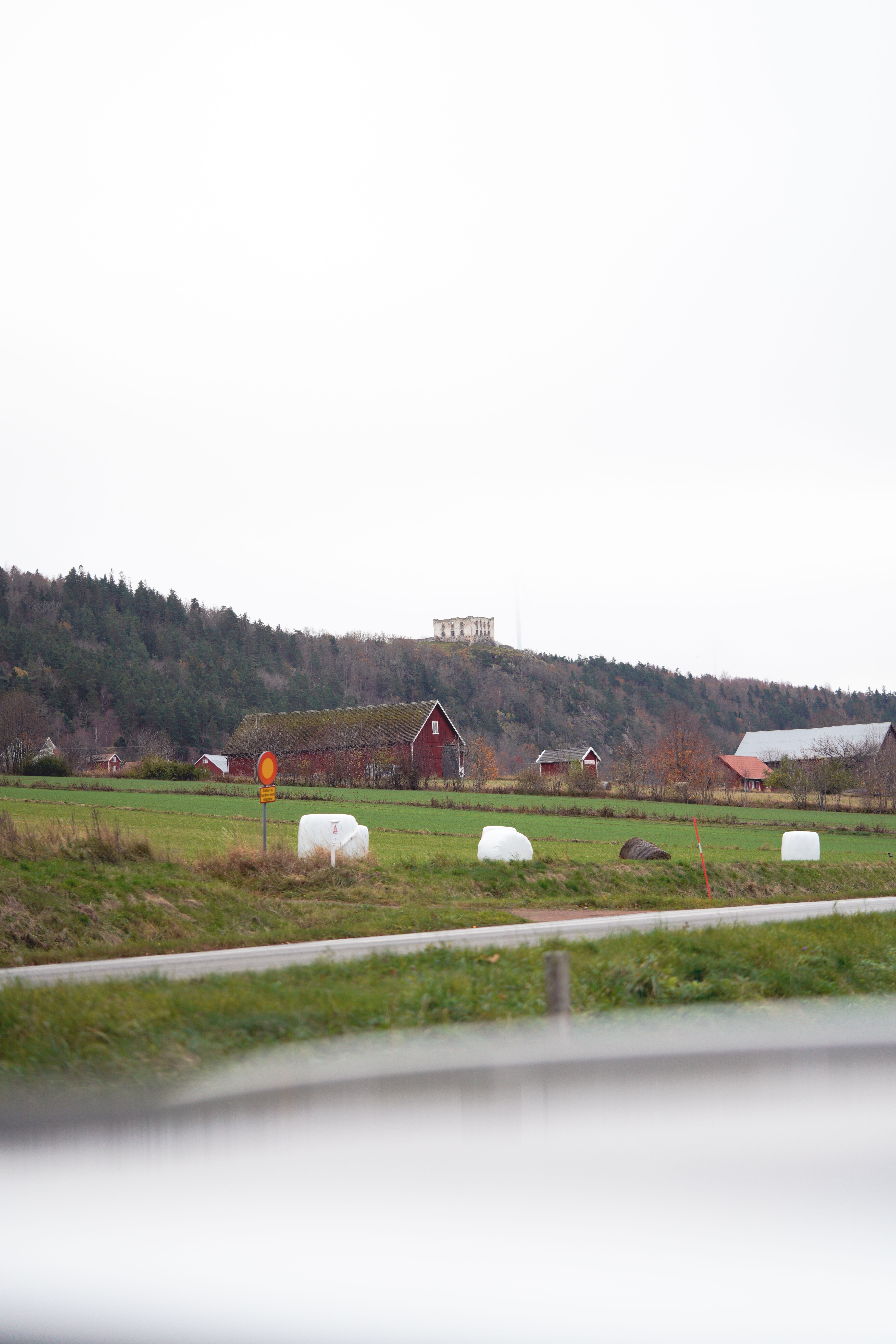 Scenic Rural Farm Landscape with Nordic Barns · Free Stock Photo