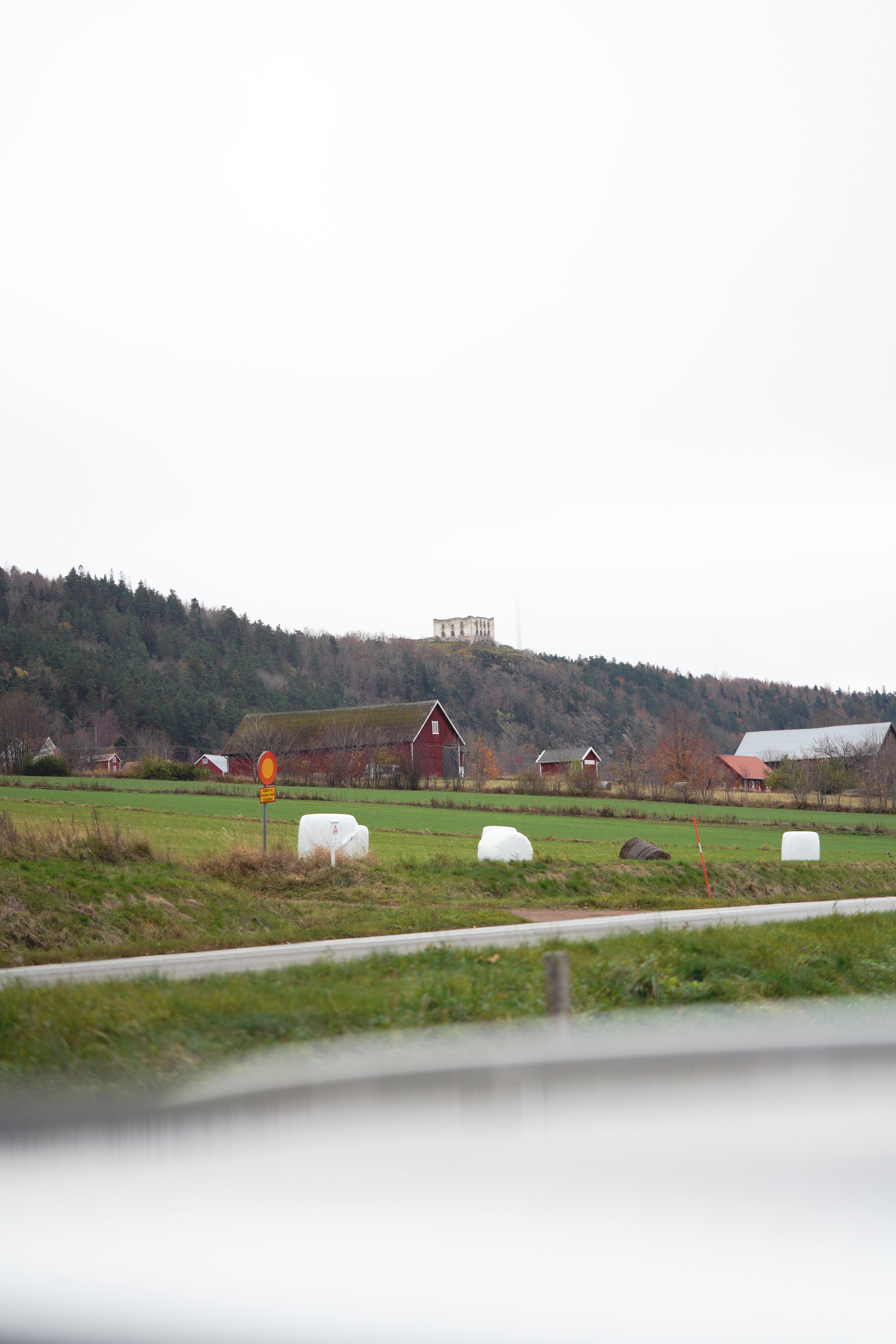 Scenic Rural Farm Landscape with Nordic Barns · Free Stock Photo