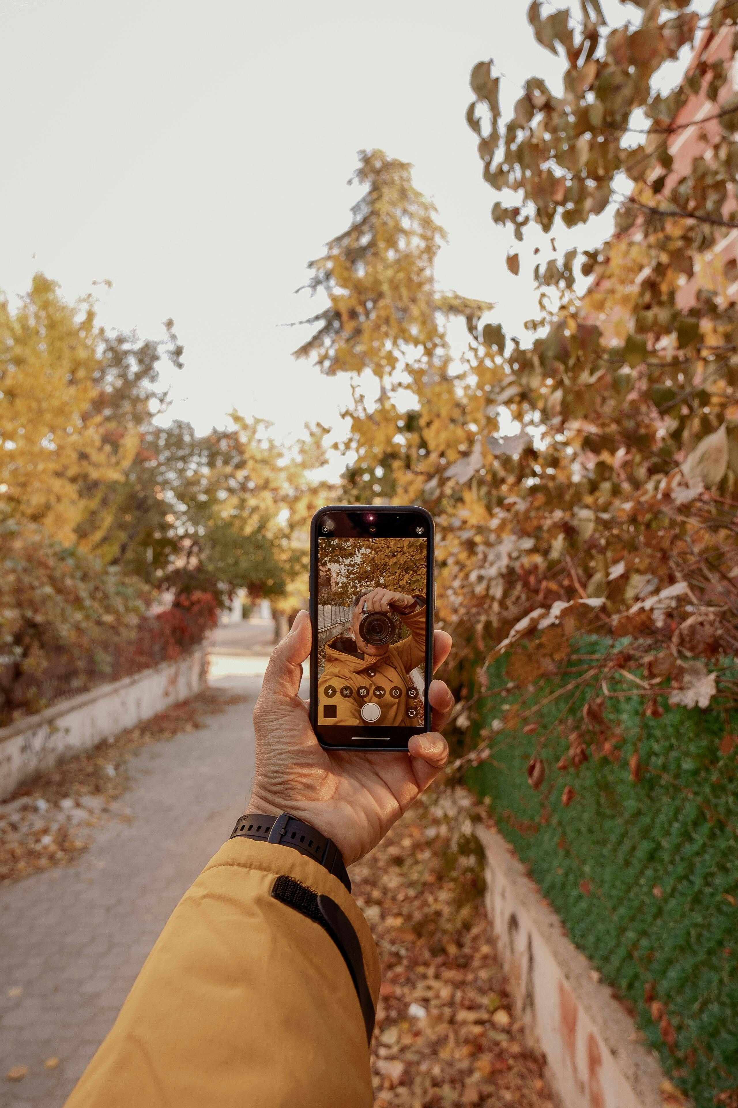 Capturing Fall Foliage with Smartphone Camera · Free Stock Photo