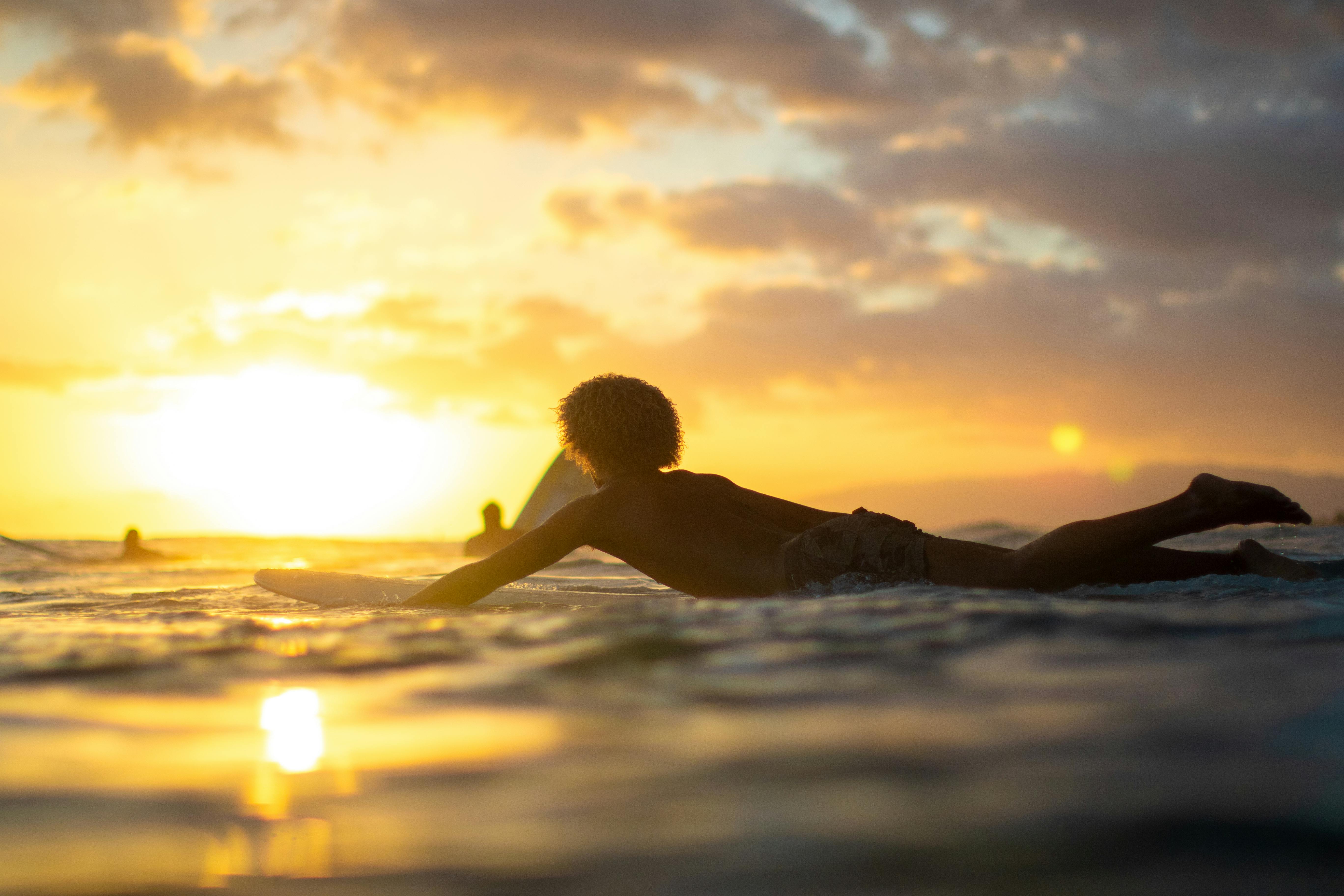 People on Beach during Sunset · Free Stock Photo