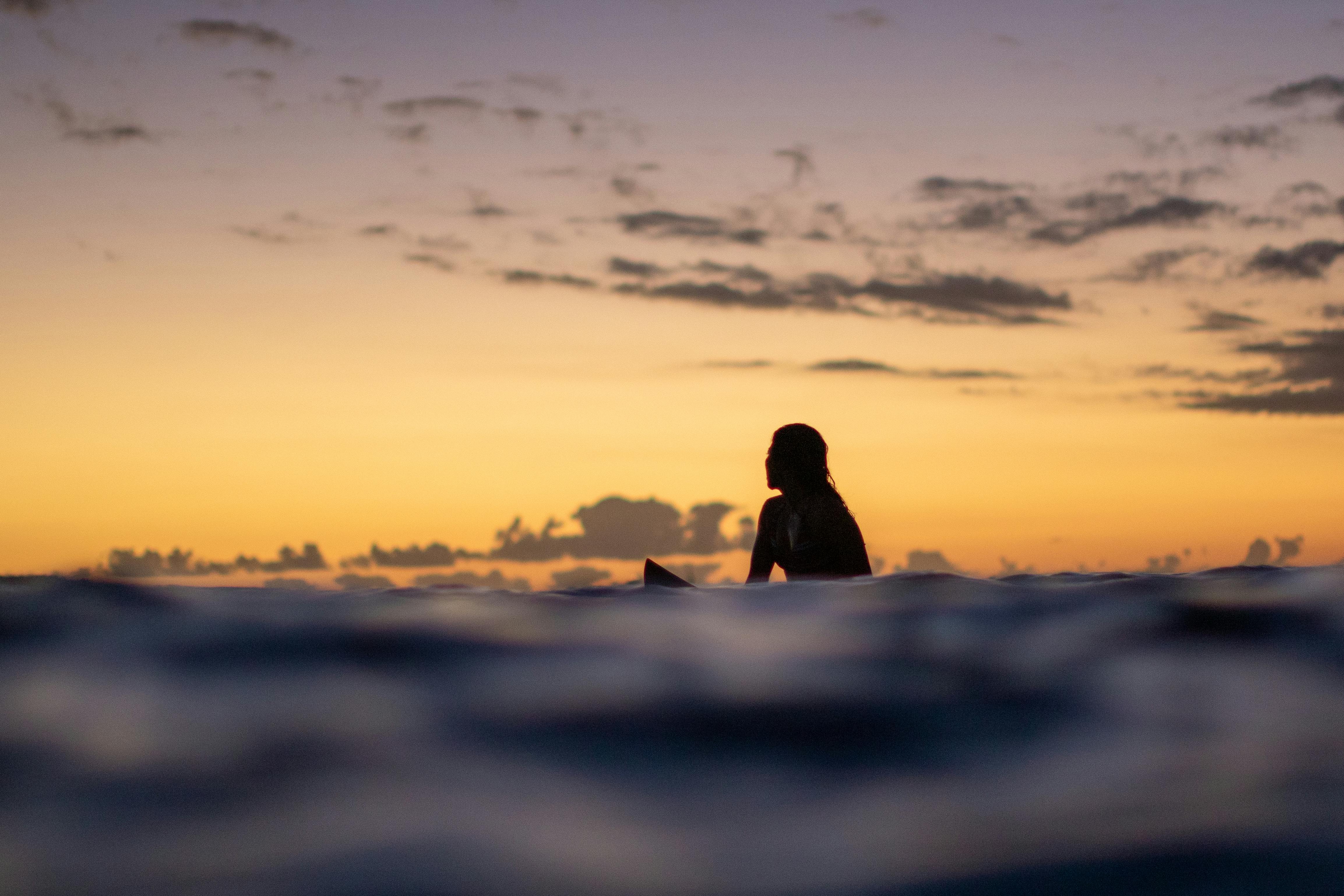 People on Beach during Sunset · Free Stock Photo