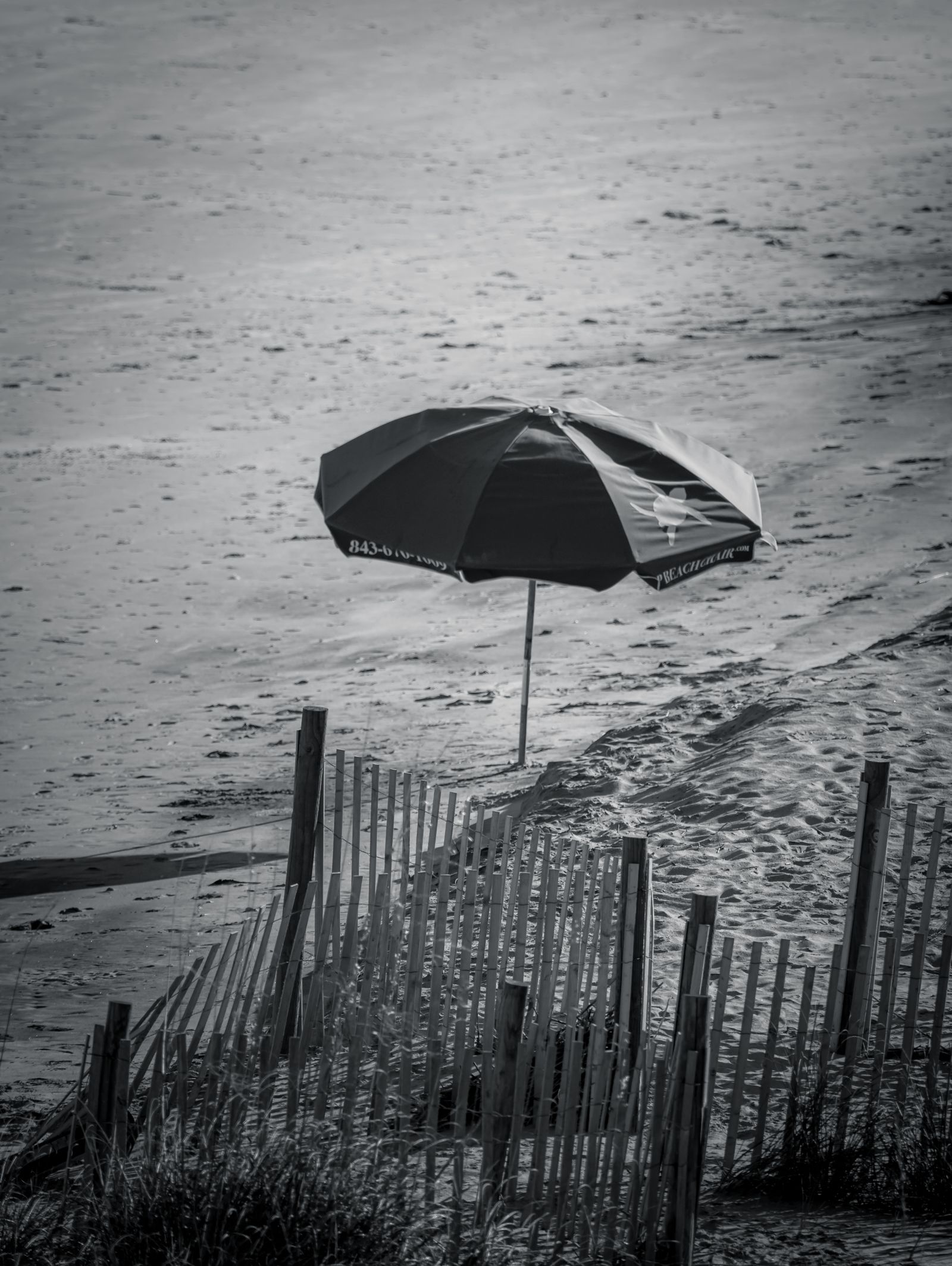 Beach Umbrella Photos, Download The BEST Free Beach Umbrella Stock ...