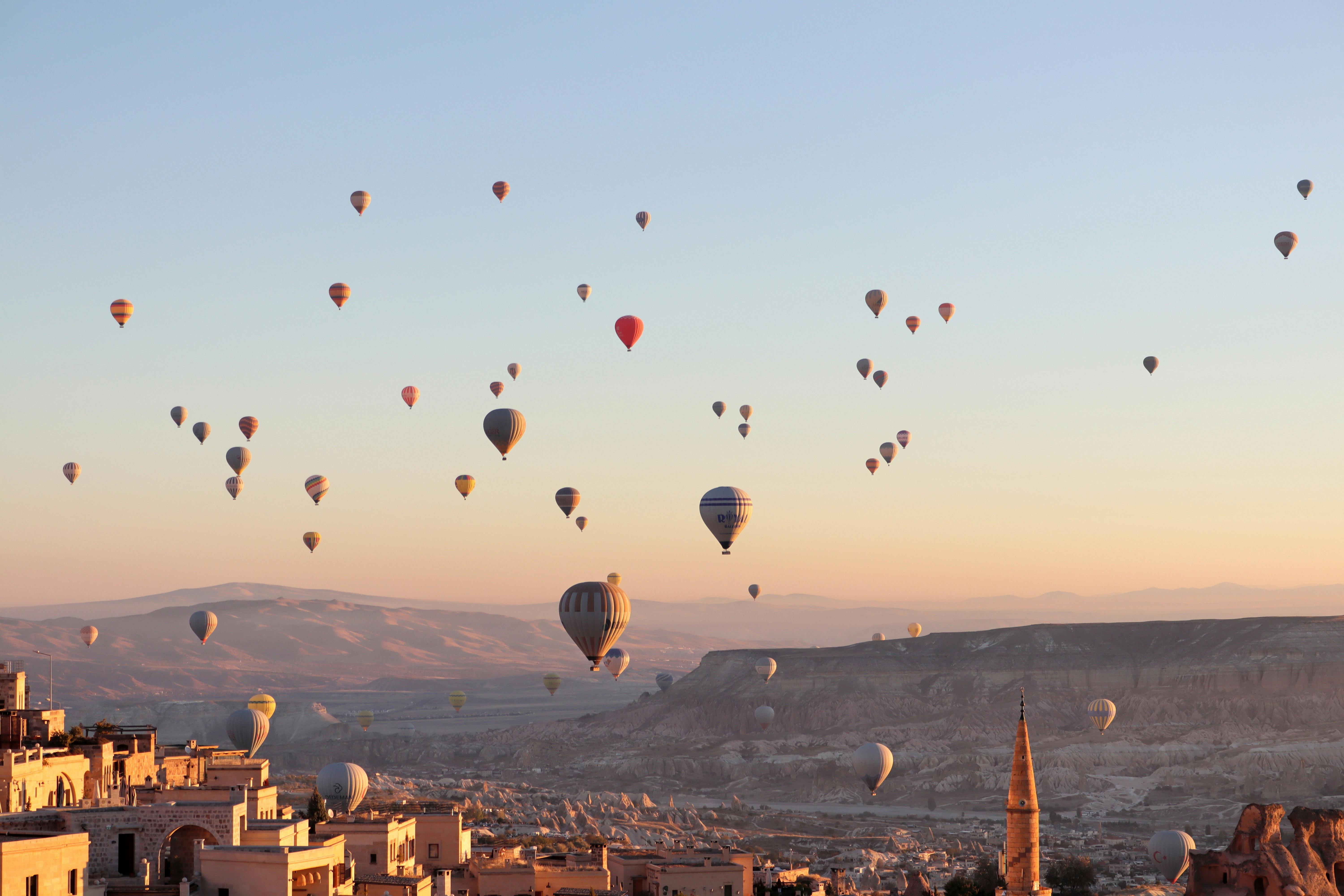 Alan Wang - Photography