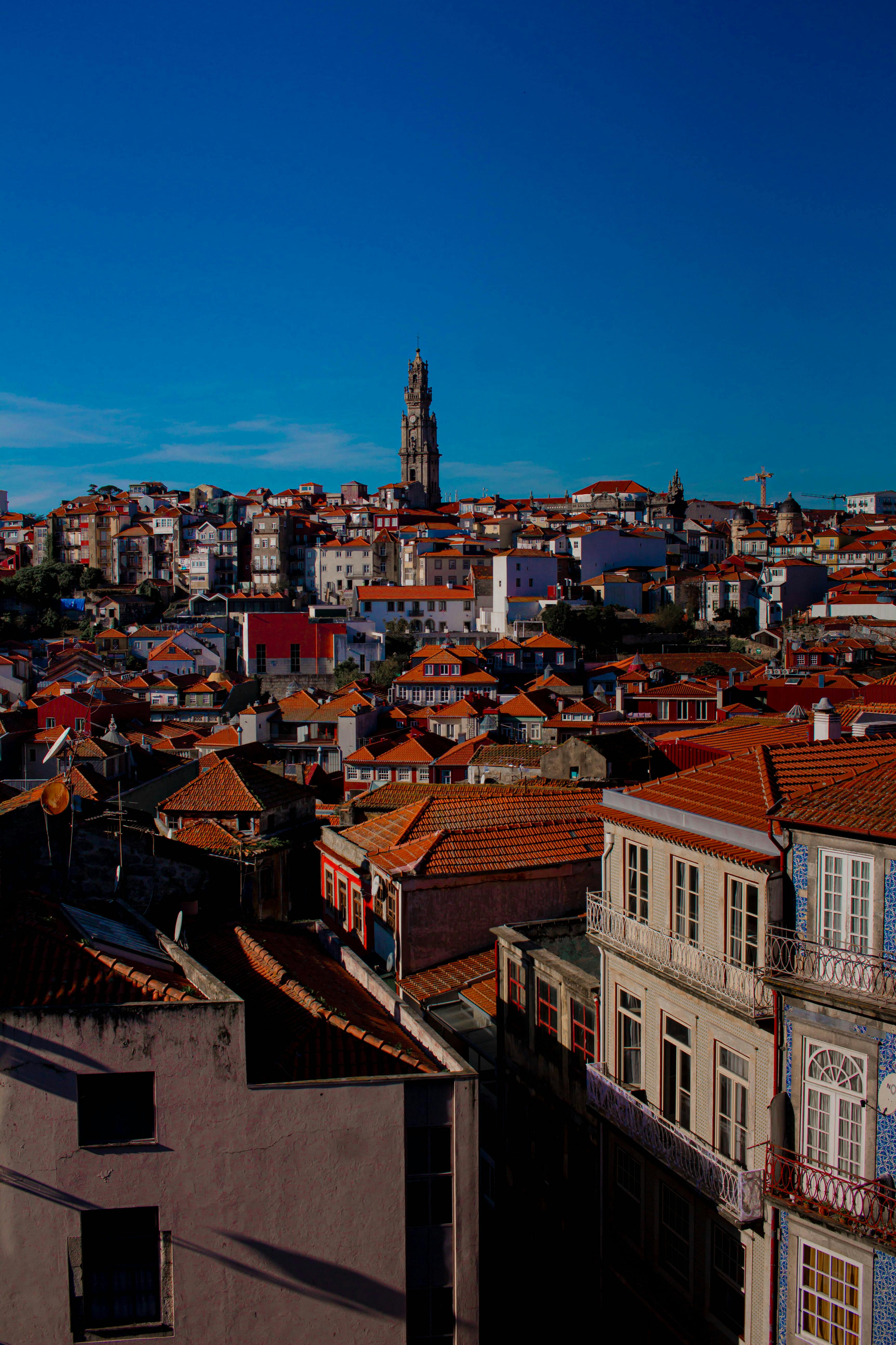 Leandro Henrique - Photography