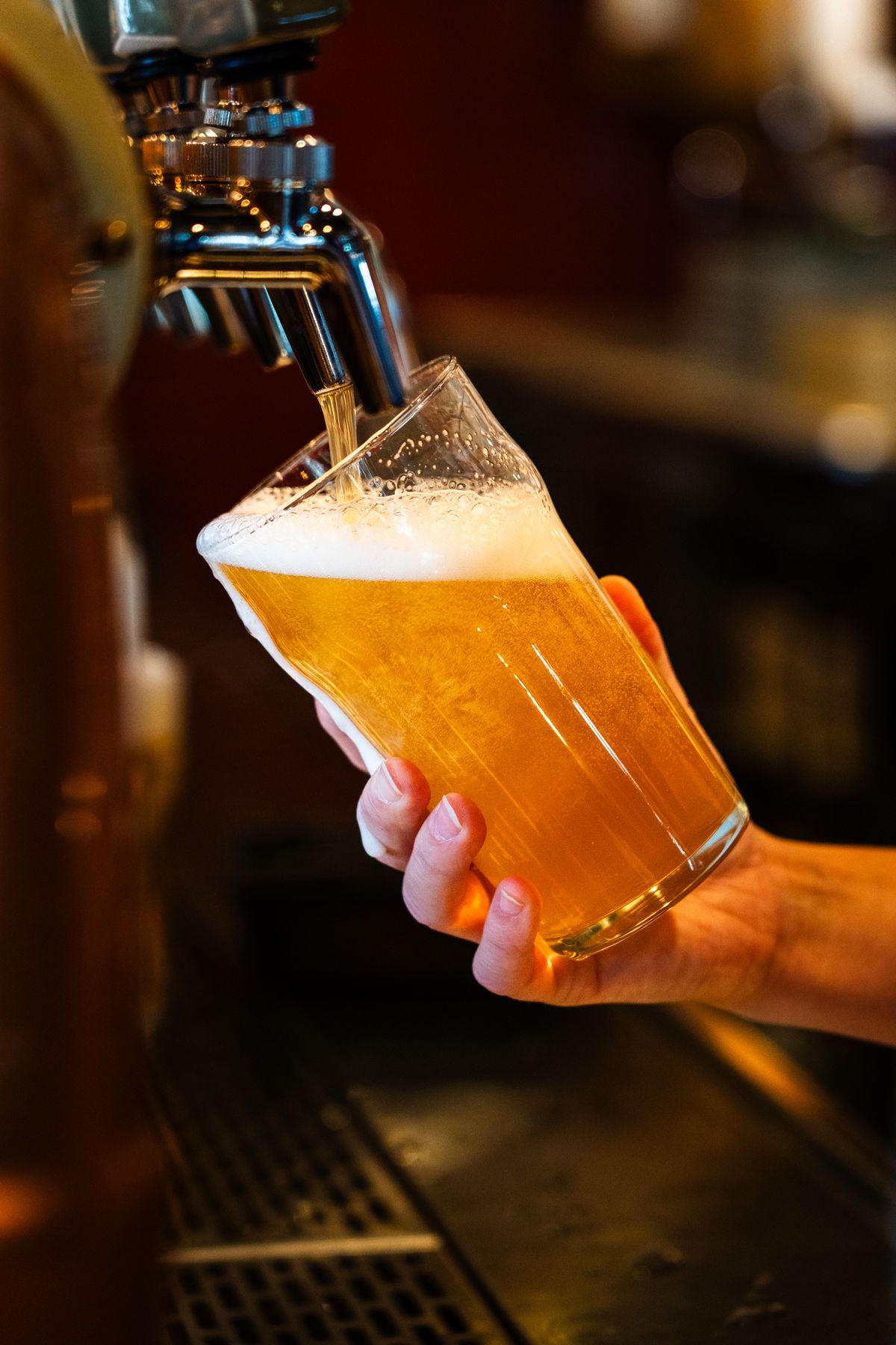 Pint Of Beer Photos, Download The BEST Free Pint Of Beer Stock Photos ...