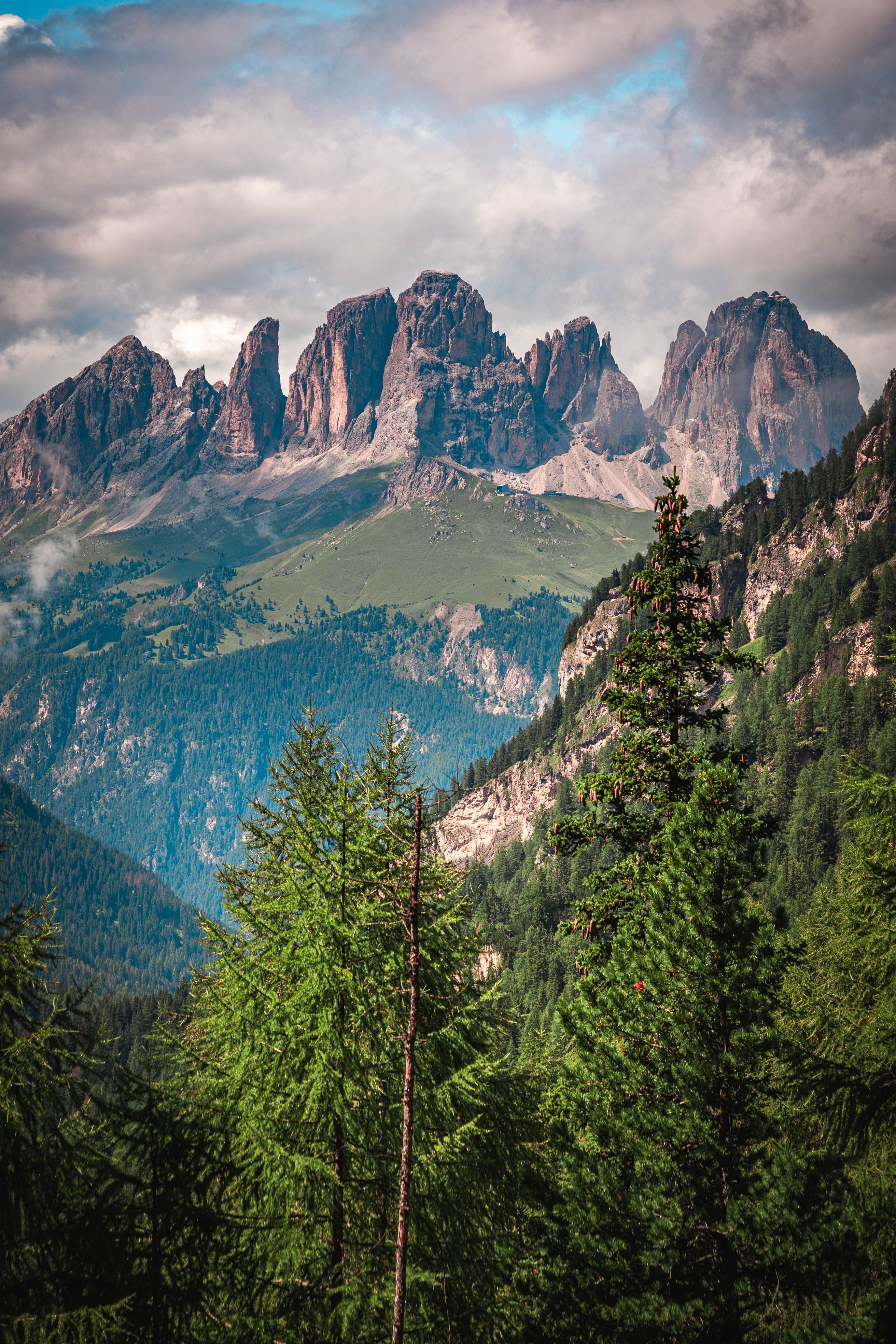 Majestic Dolomites View with Lush Forest · Free Stock Photo