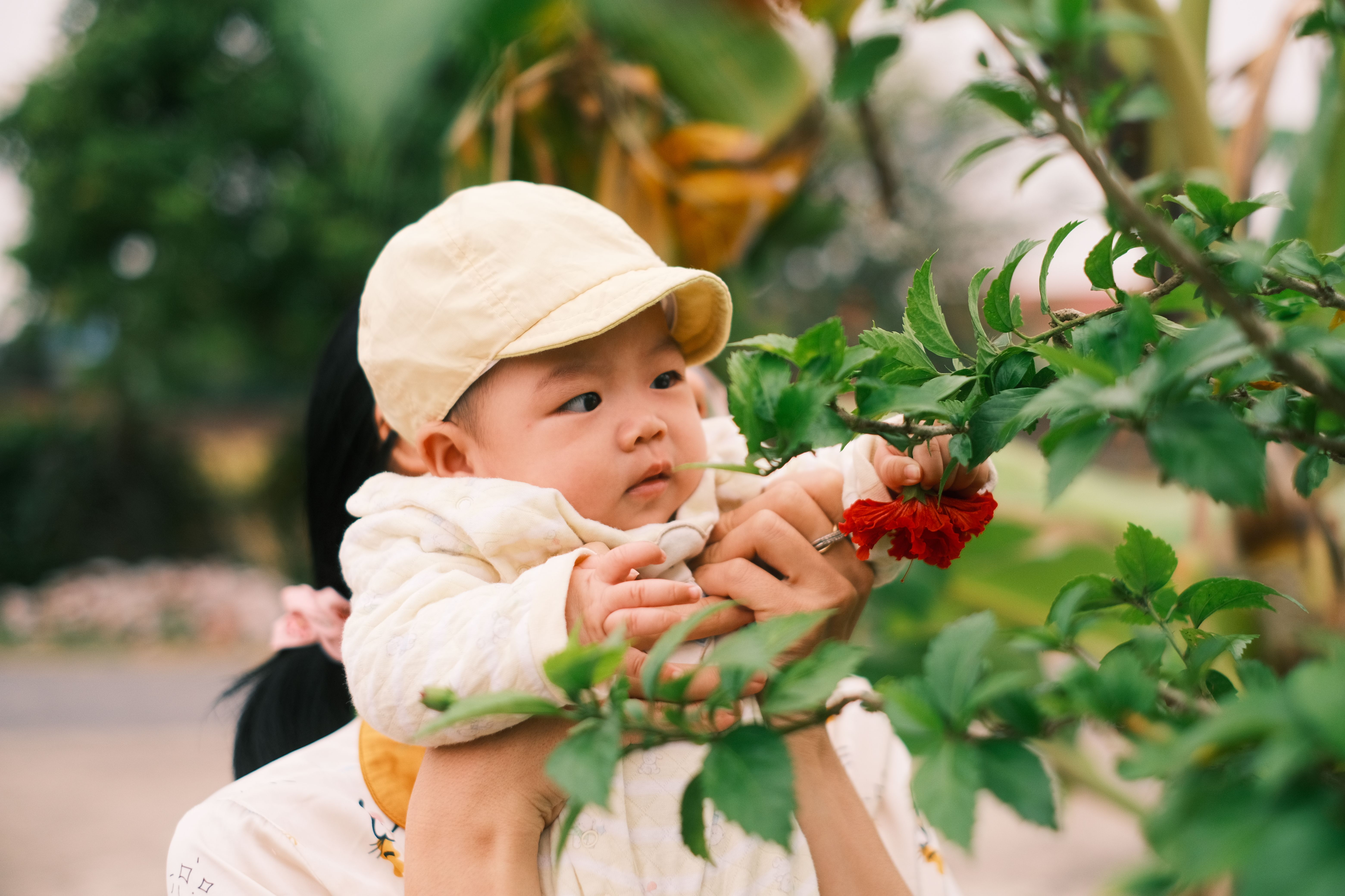 Adorable Baby Exploring Nature with Parent Outdoors · Free Stock Photo