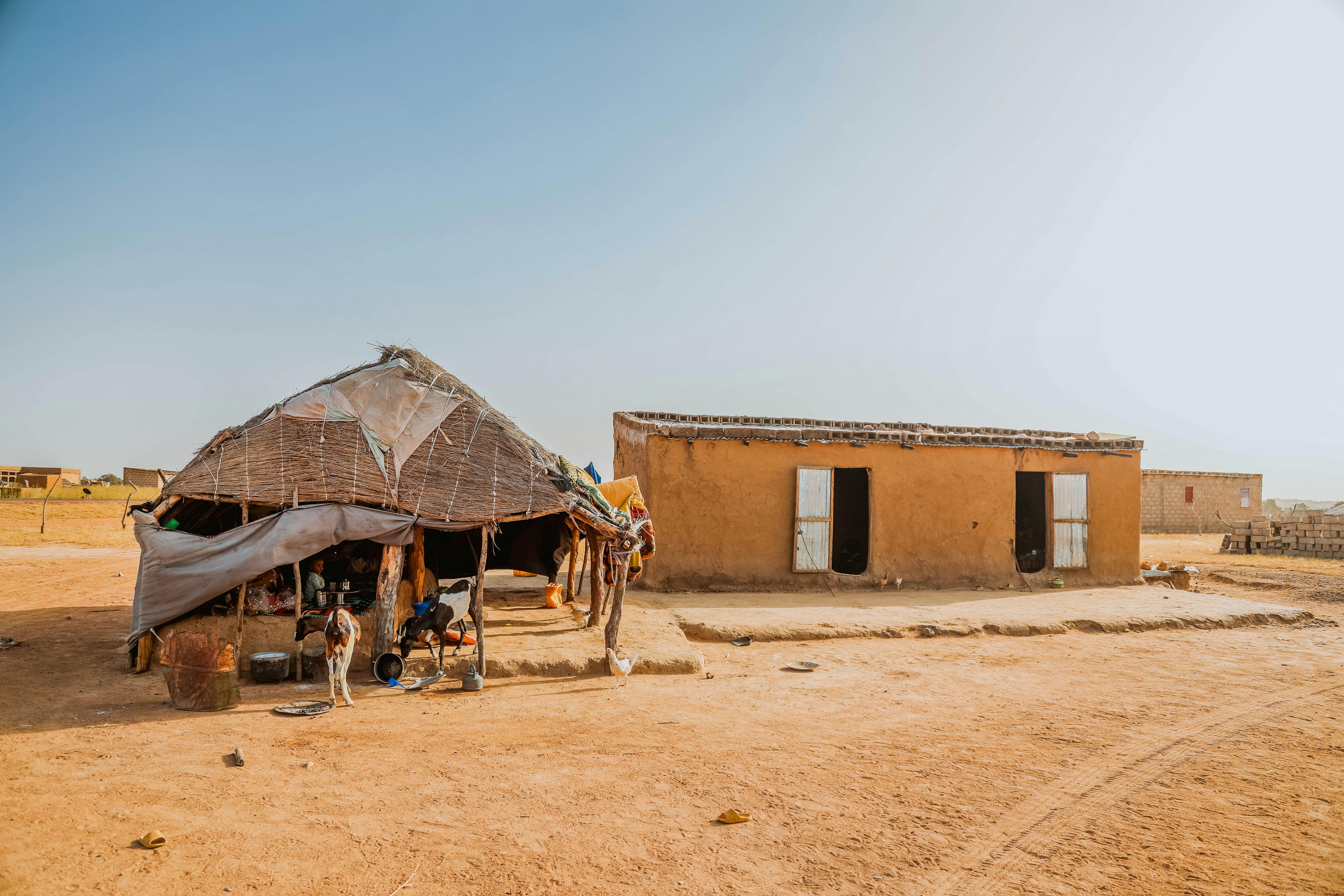 Shocking Good Photos, Download The BEST Free Shocking Good Stock Photos ...