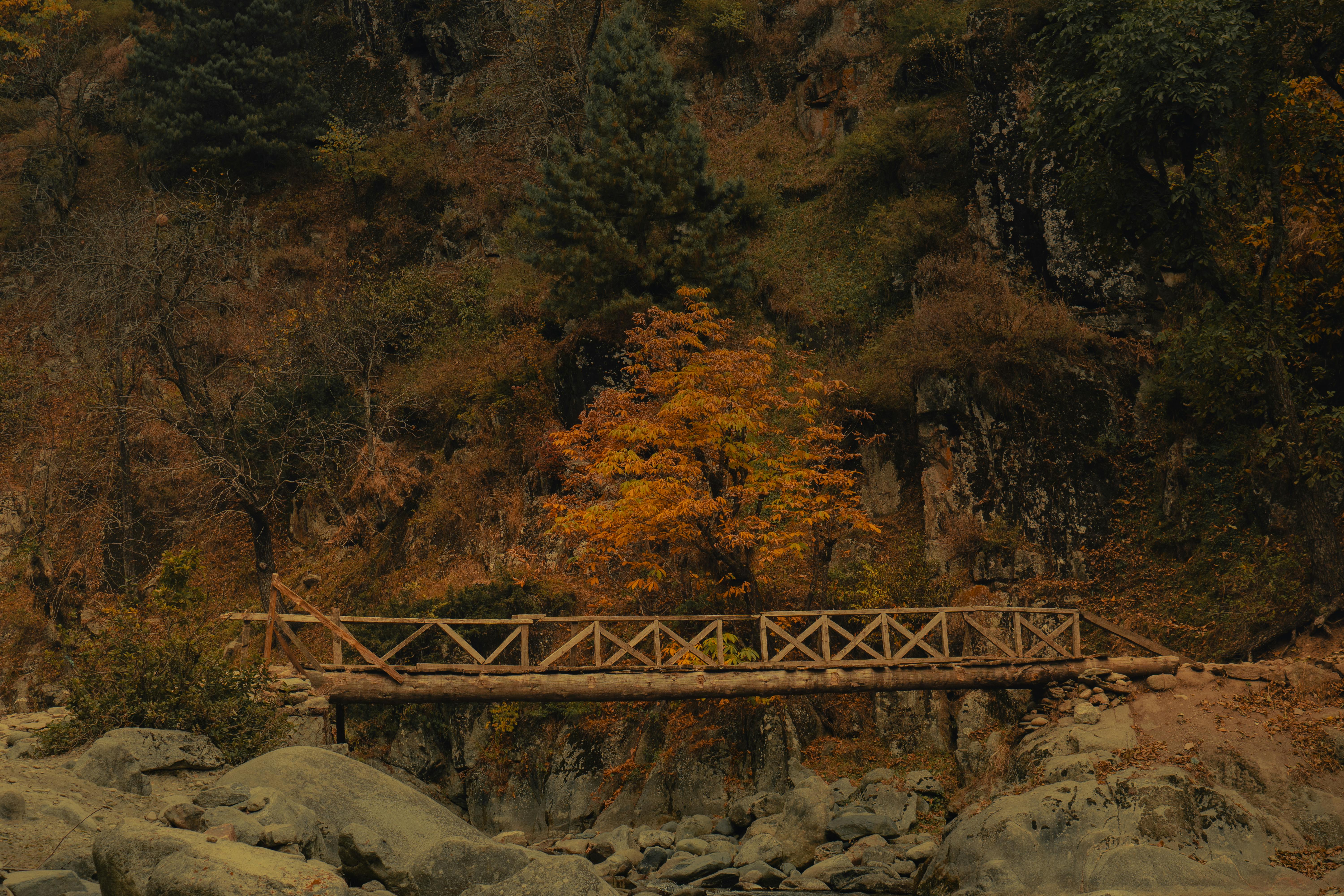 Rustic Bridge in Autumn Forest Landscape · Free Stock Photo