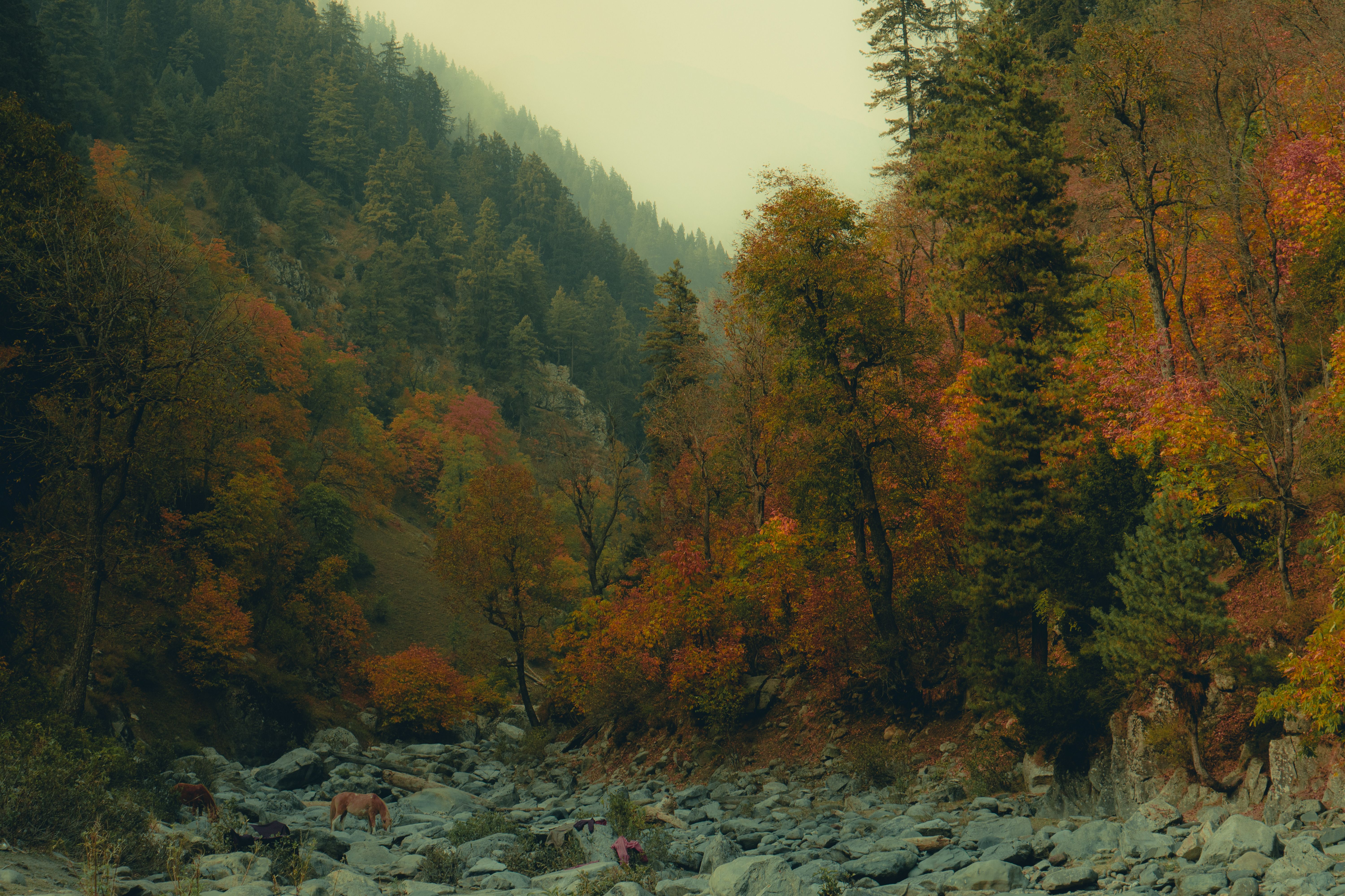 Aerial View of Autumn Landscape with River · Free Stock Photo