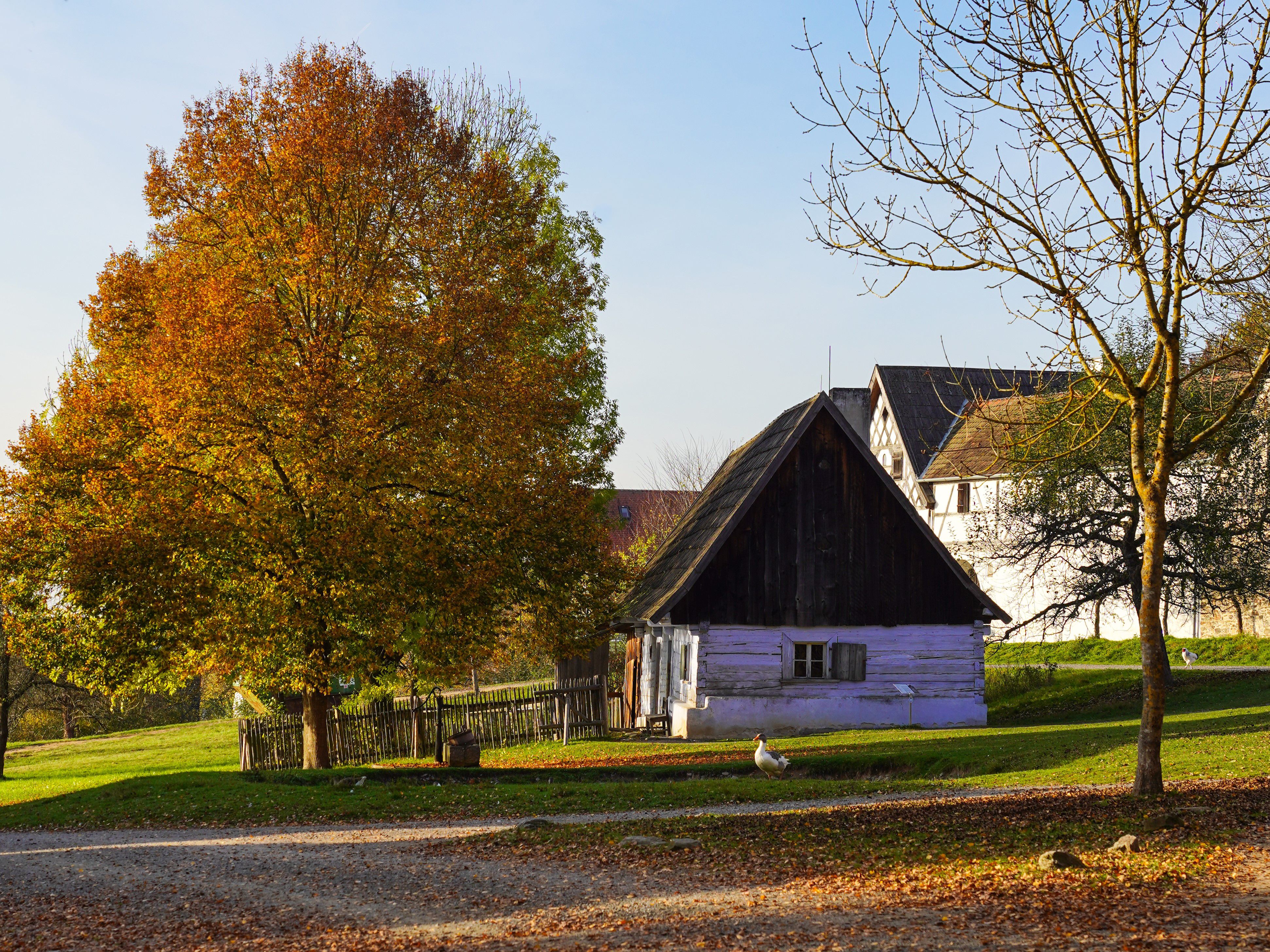 Scenic Autumn Farmhouse with Colorful Foliage · Free Stock Photo