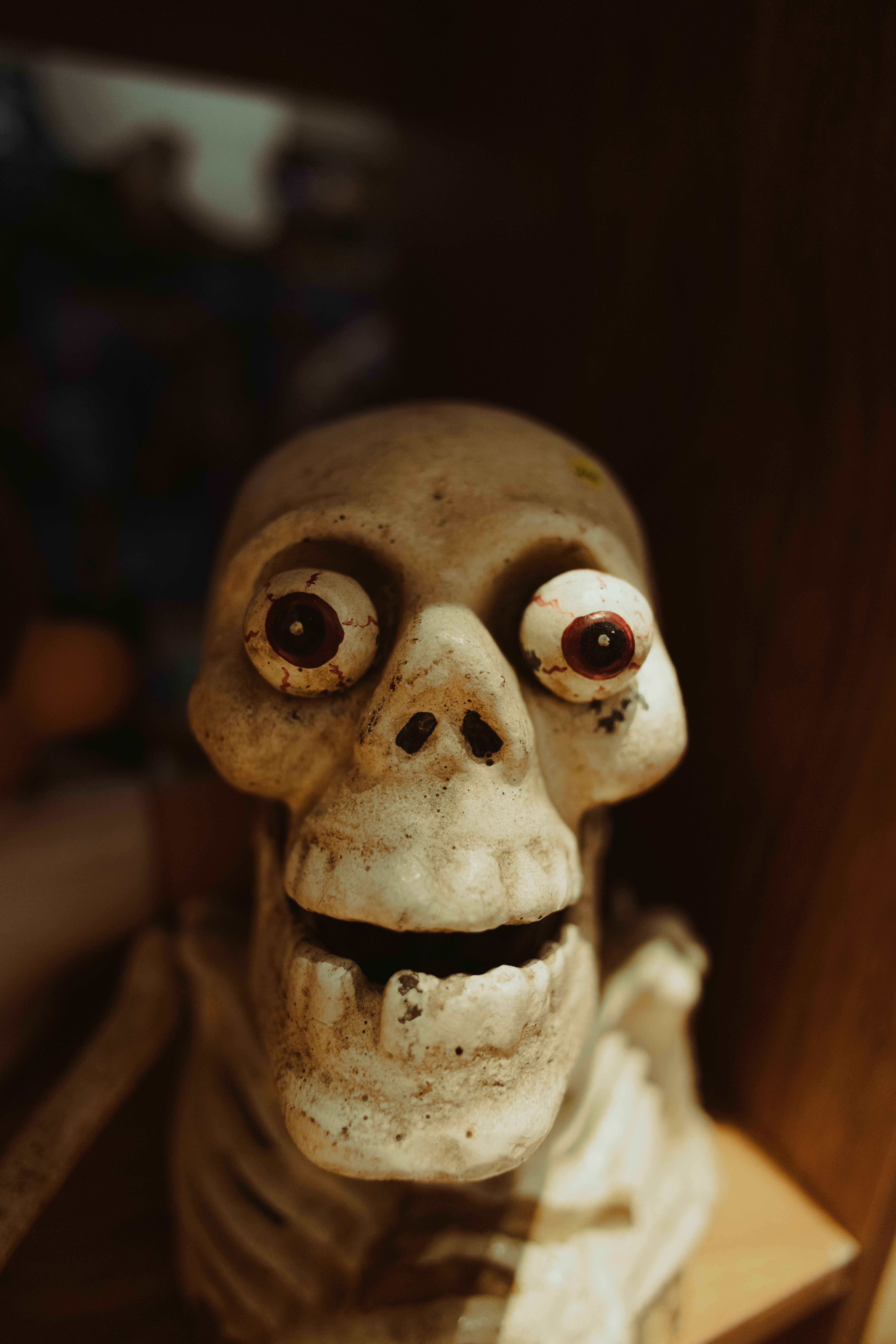 Horror Skeleton Eyes Photos, Download The BEST Free Horror Skeleton ...
