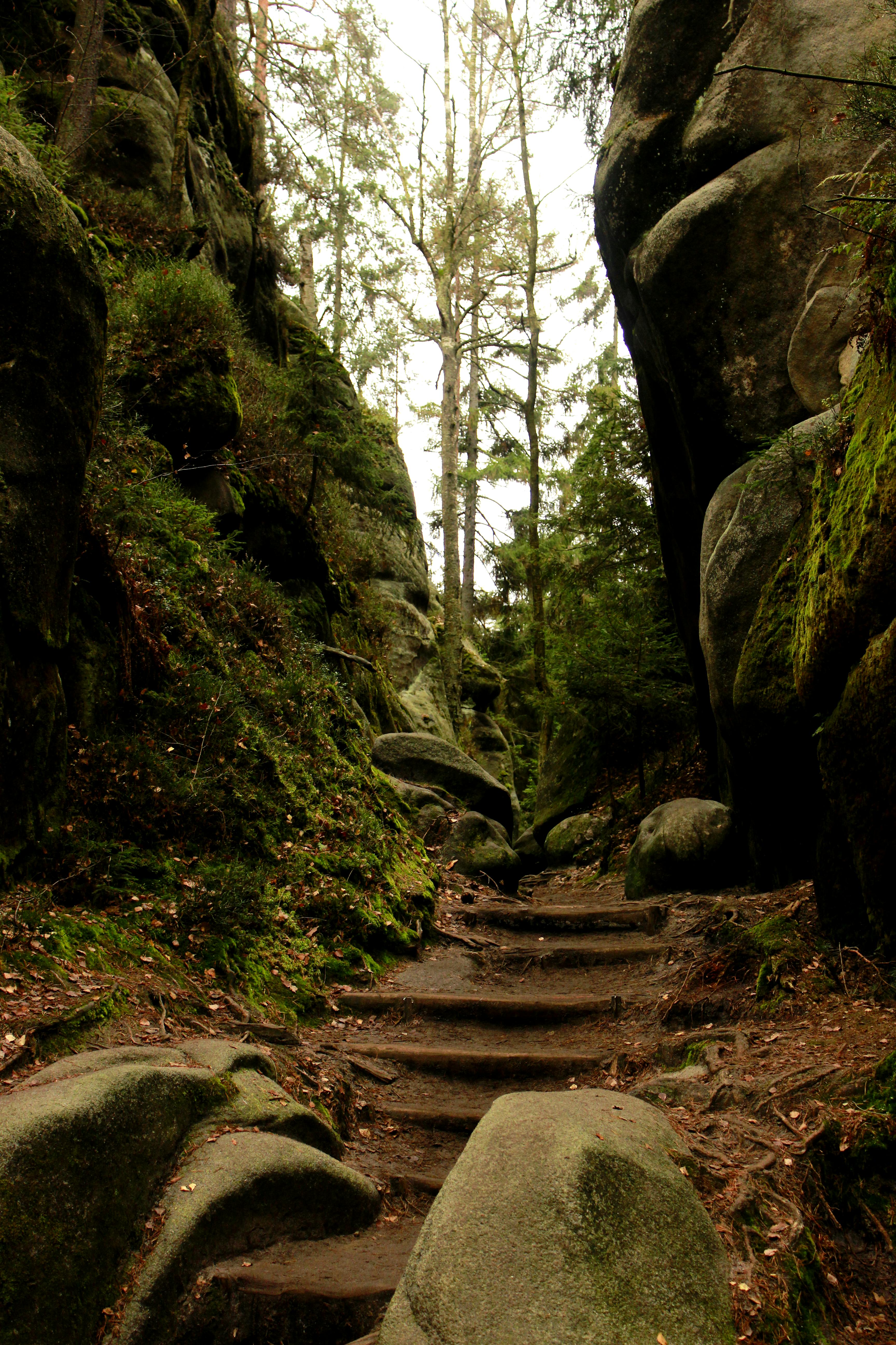 Fabel Photos, Download The BEST Free Fabel Stock Photos & HD Images